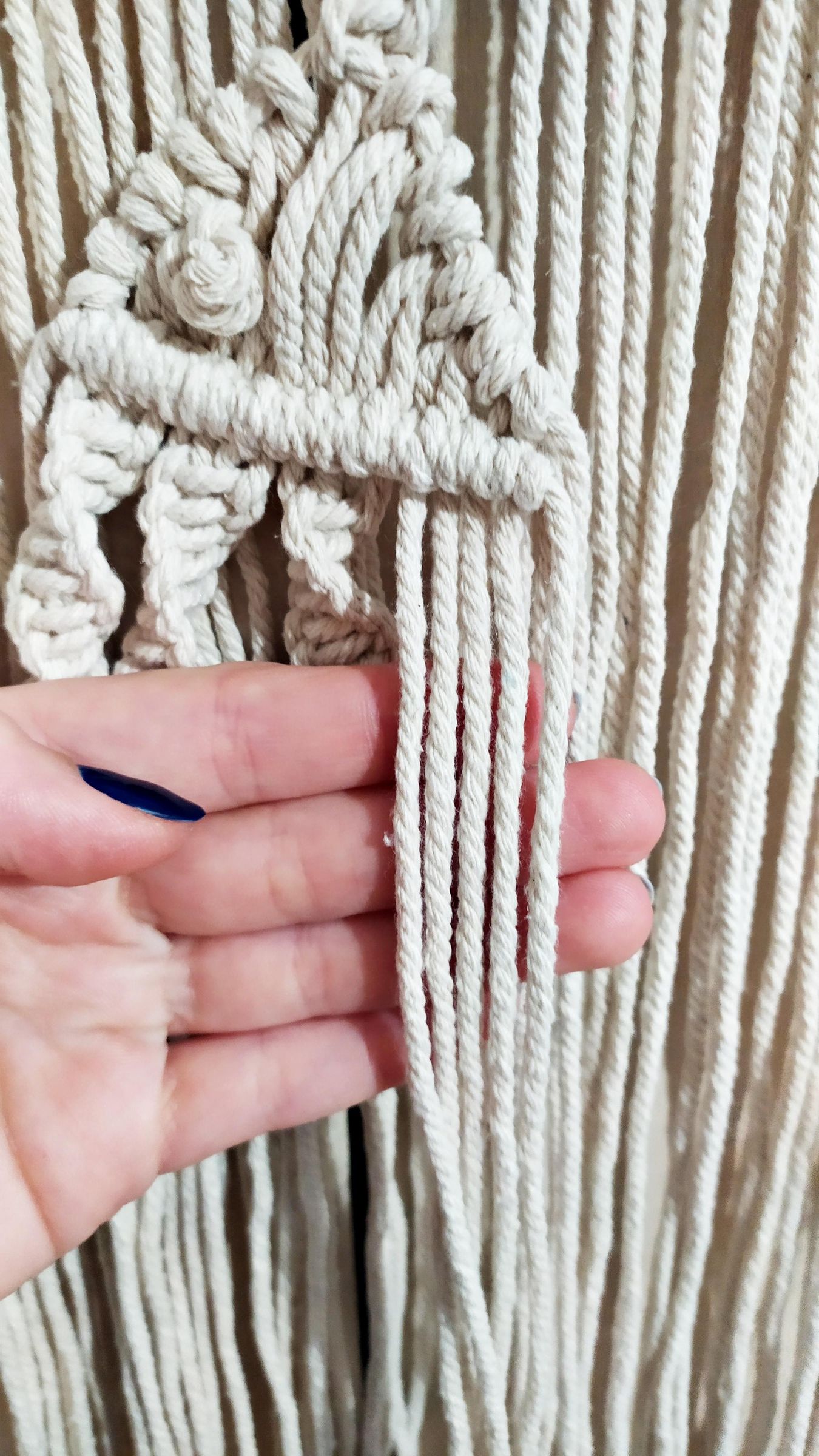 Macrame Fish Wall Hanging Made From Rope Scraps : 15 Steps (with ...