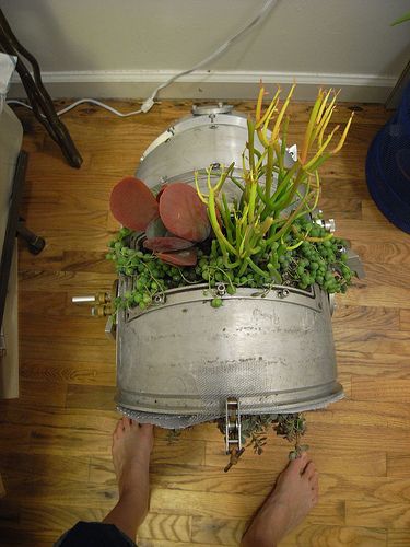 Make a Planter Out of Random Science Junk : 4 Steps - Instructables
