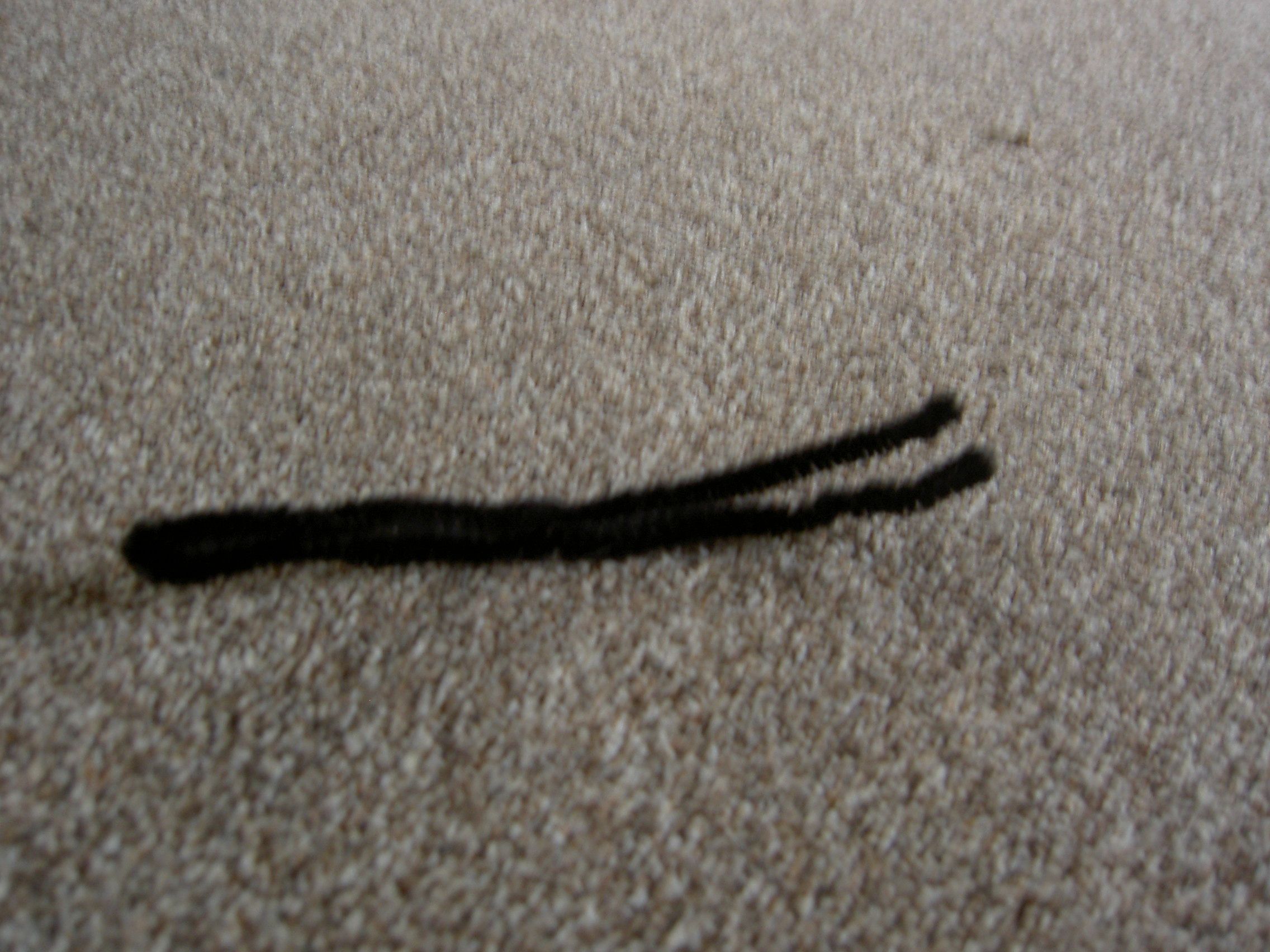 How to Make Pipe-Cleaner Men : 6 Steps - Instructables