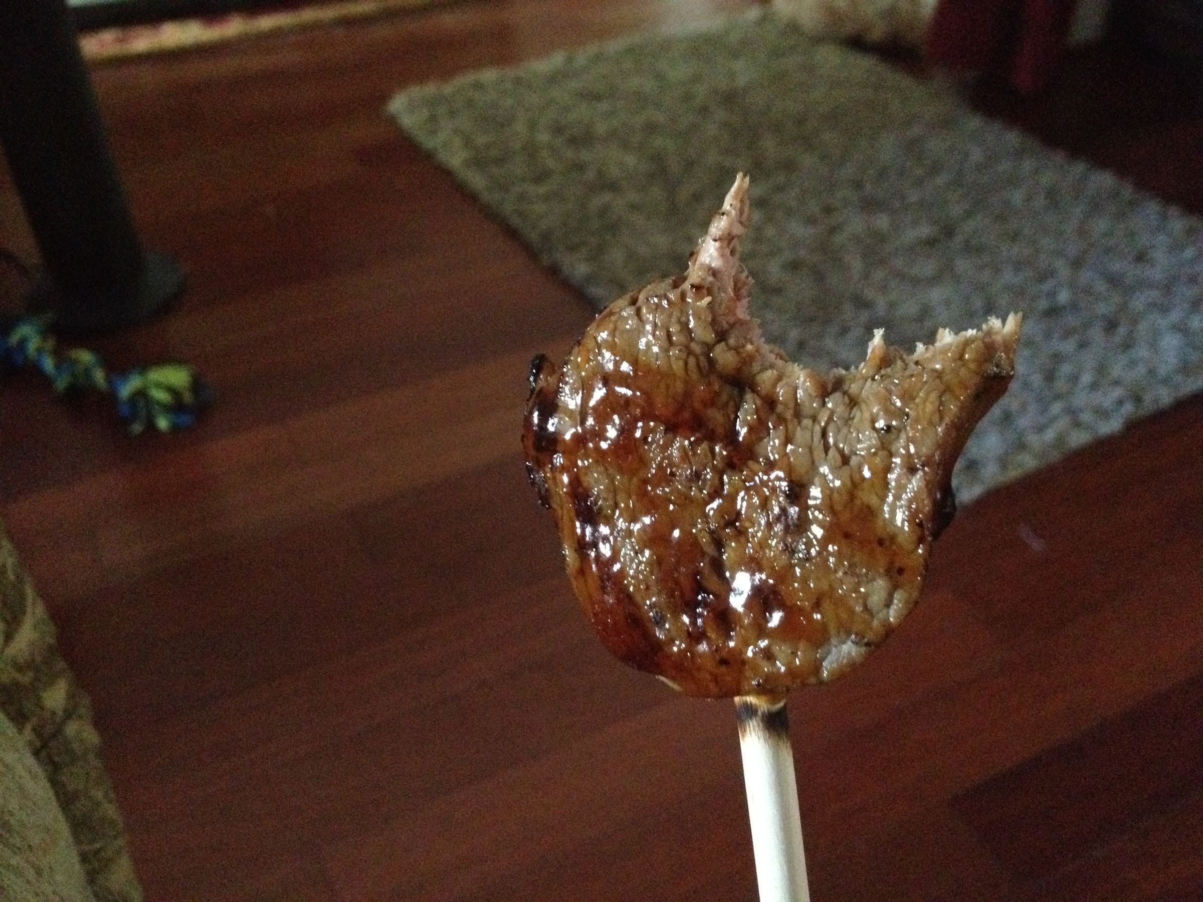 Steak Pops : 4 Steps (with Pictures) - Instructables