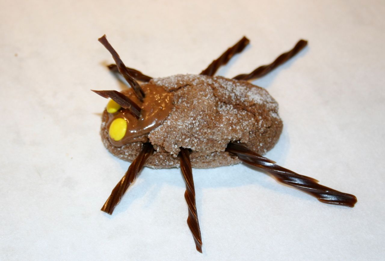 Chocolate Caramel Cockroach Cookie : 12 Steps (with Pictures ...
