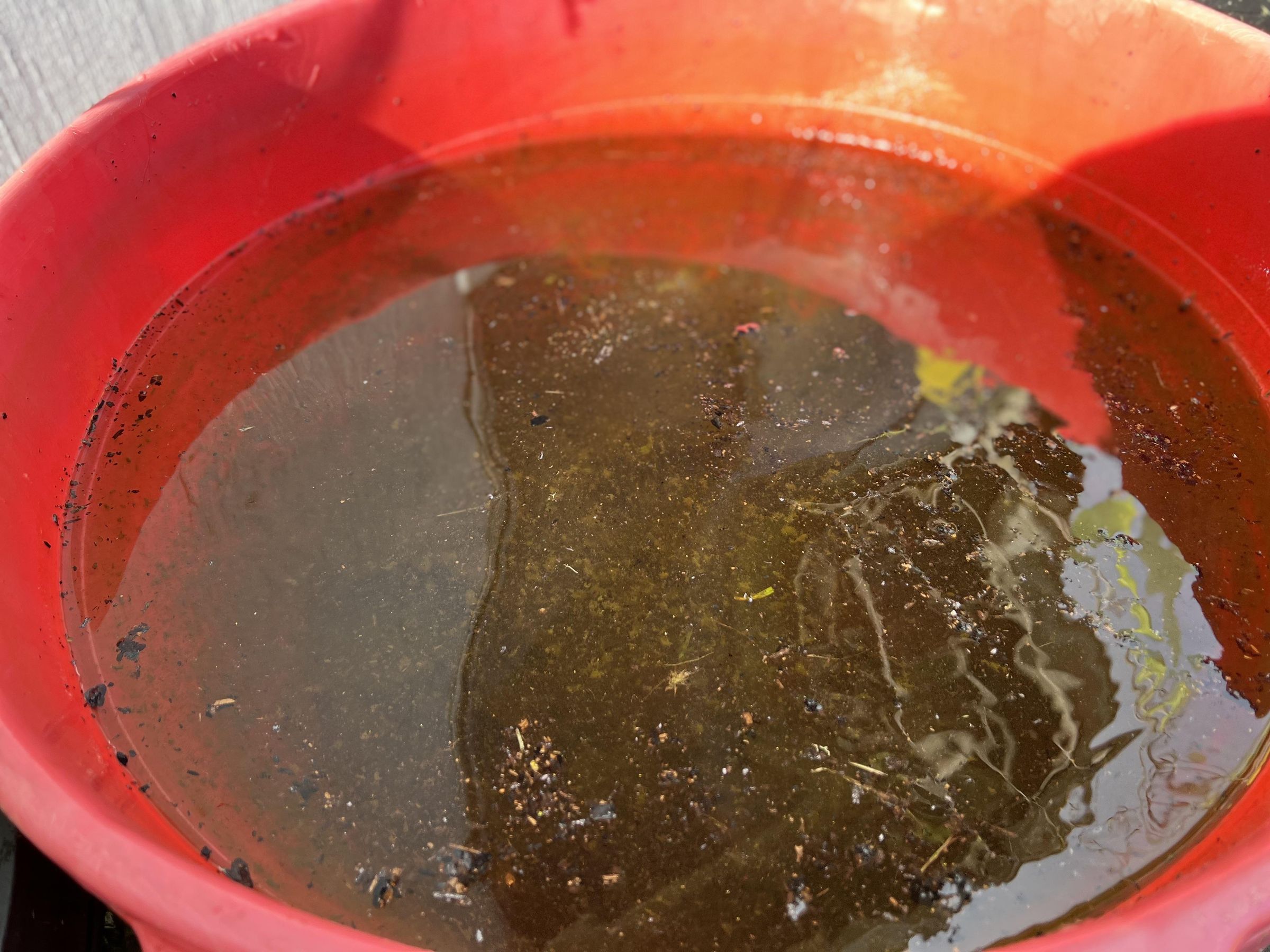 Manure Tea or Compost Tea : 4 Steps - Instructables