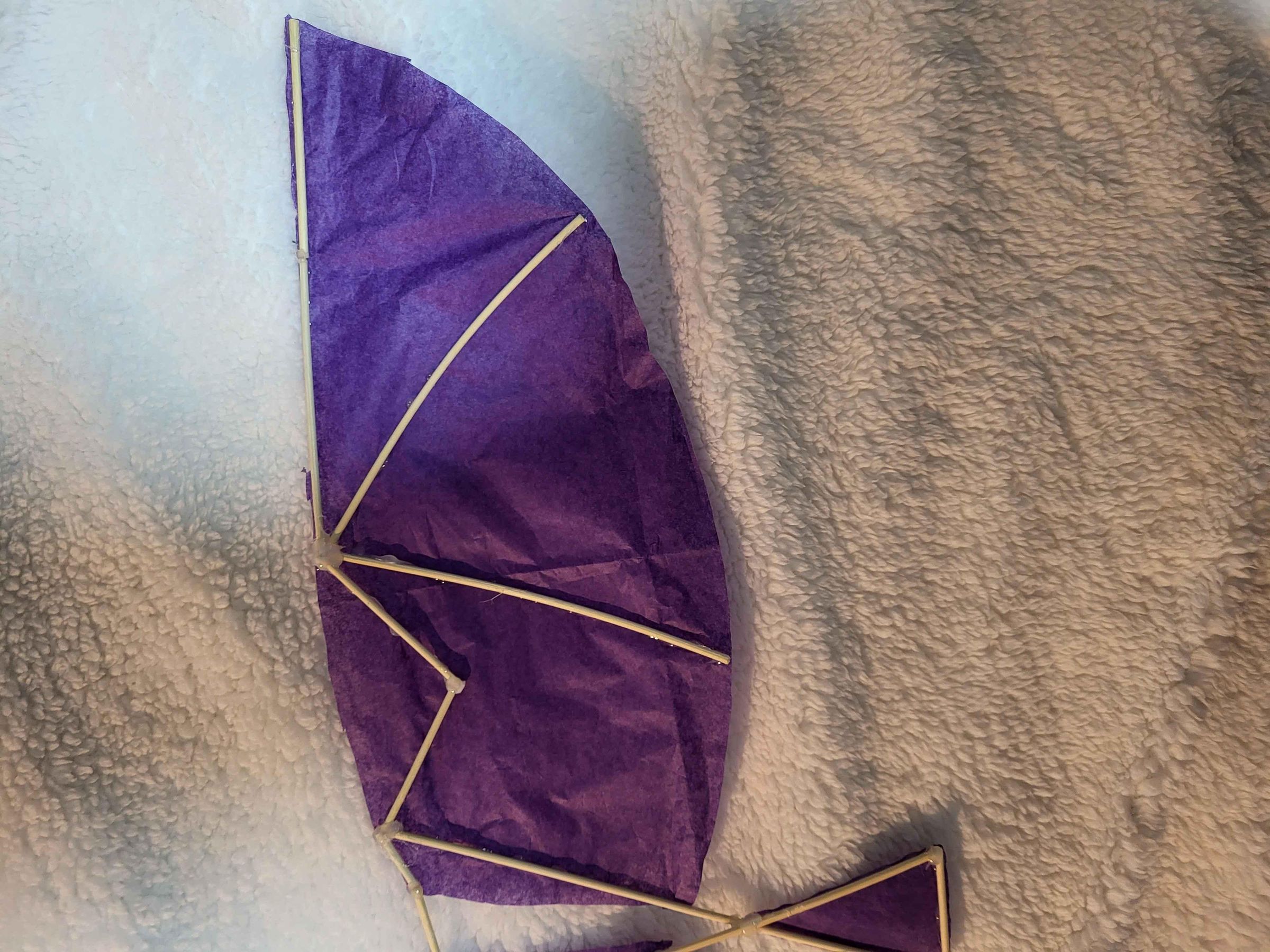 Bird Wing Glider : 7 Steps (with Pictures) - Instructables