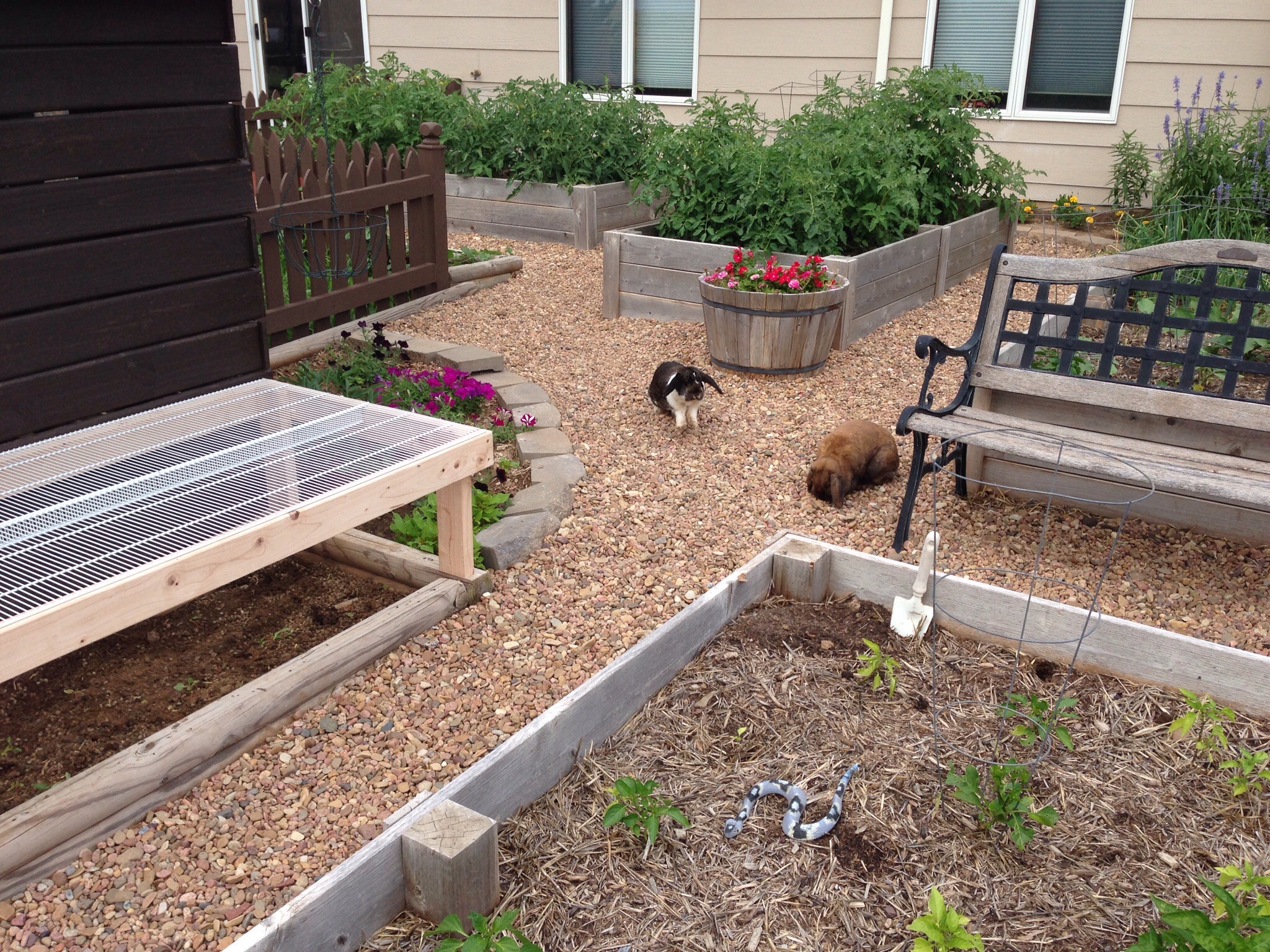 A Kid-Friendly Rabbit Hotel : 12 Steps (with Pictures) - Instructables