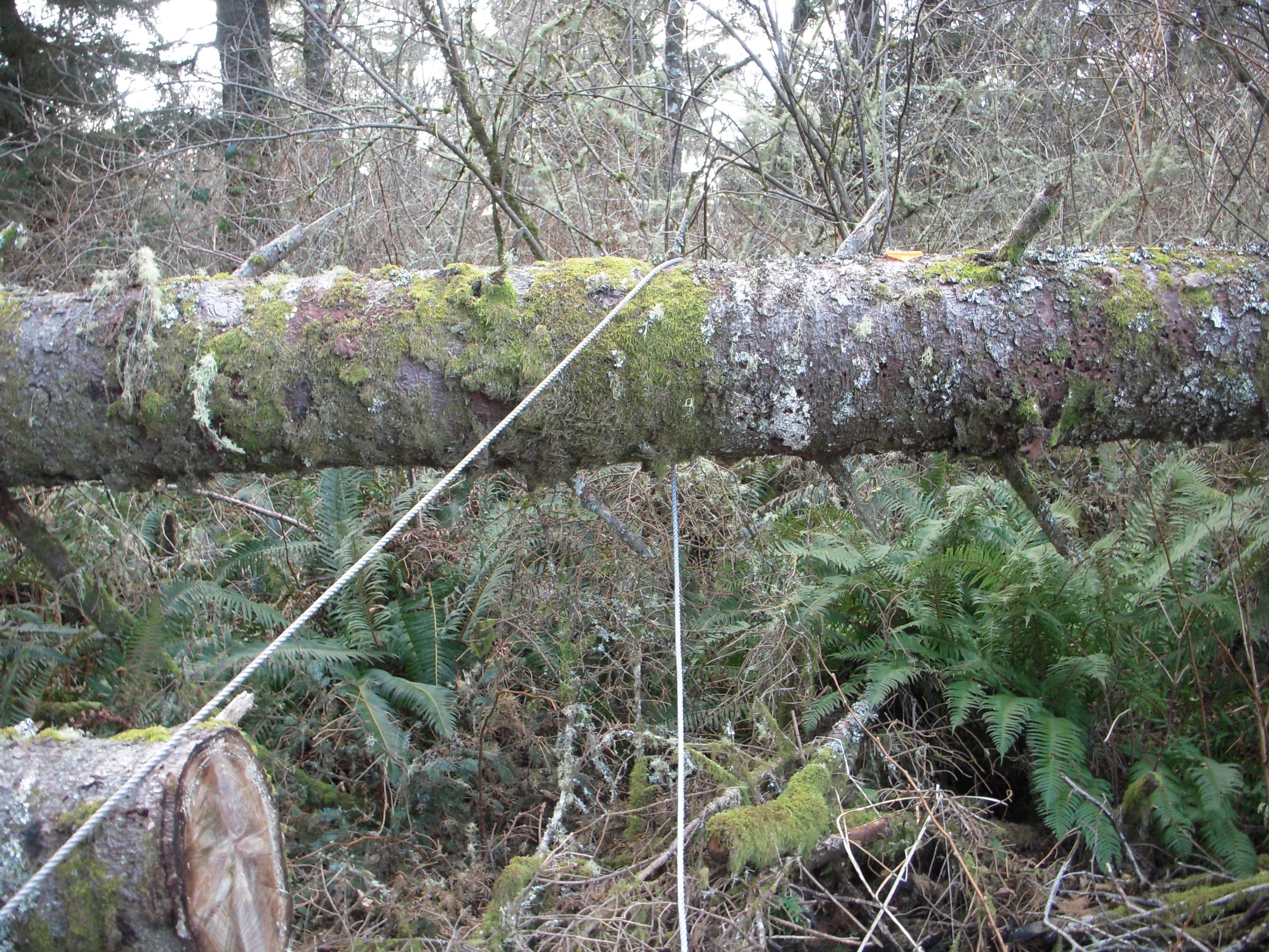 Build a Zip Line Out of Reused or Recyled Materials. : 7 Steps ...