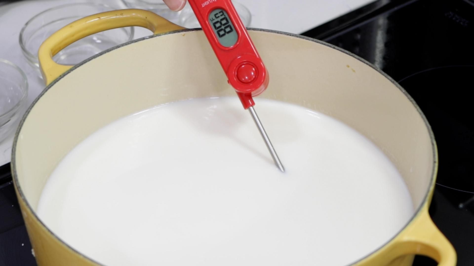 How to Make Mozzarella Cheese With Cheap Milk : 9 Steps (with Pictures ...