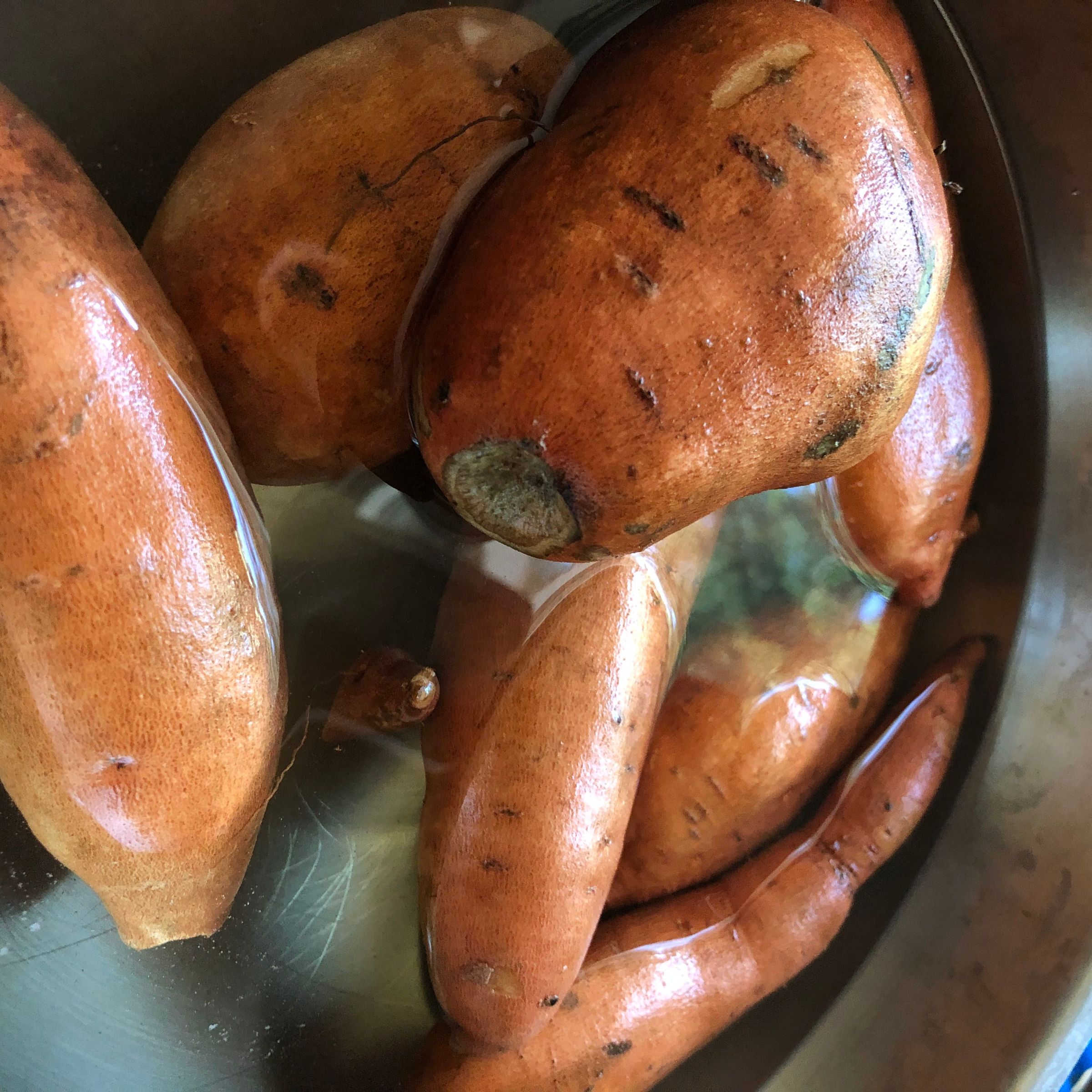 Homemade Big Dog Dog Food - for Sensitive Tummies : 19 Steps (with ...