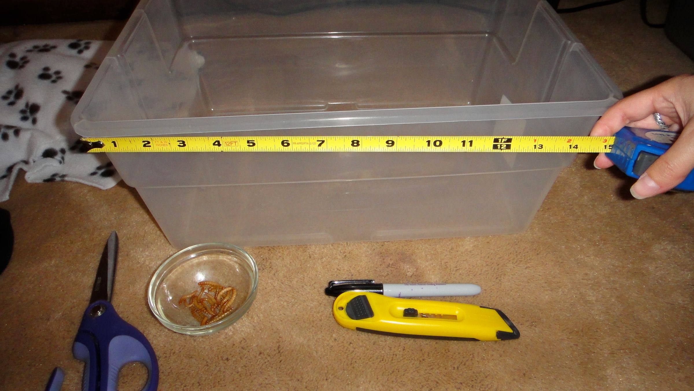 Simple Hedgehog Dig Box : 3 Steps (with Pictures) - Instructables