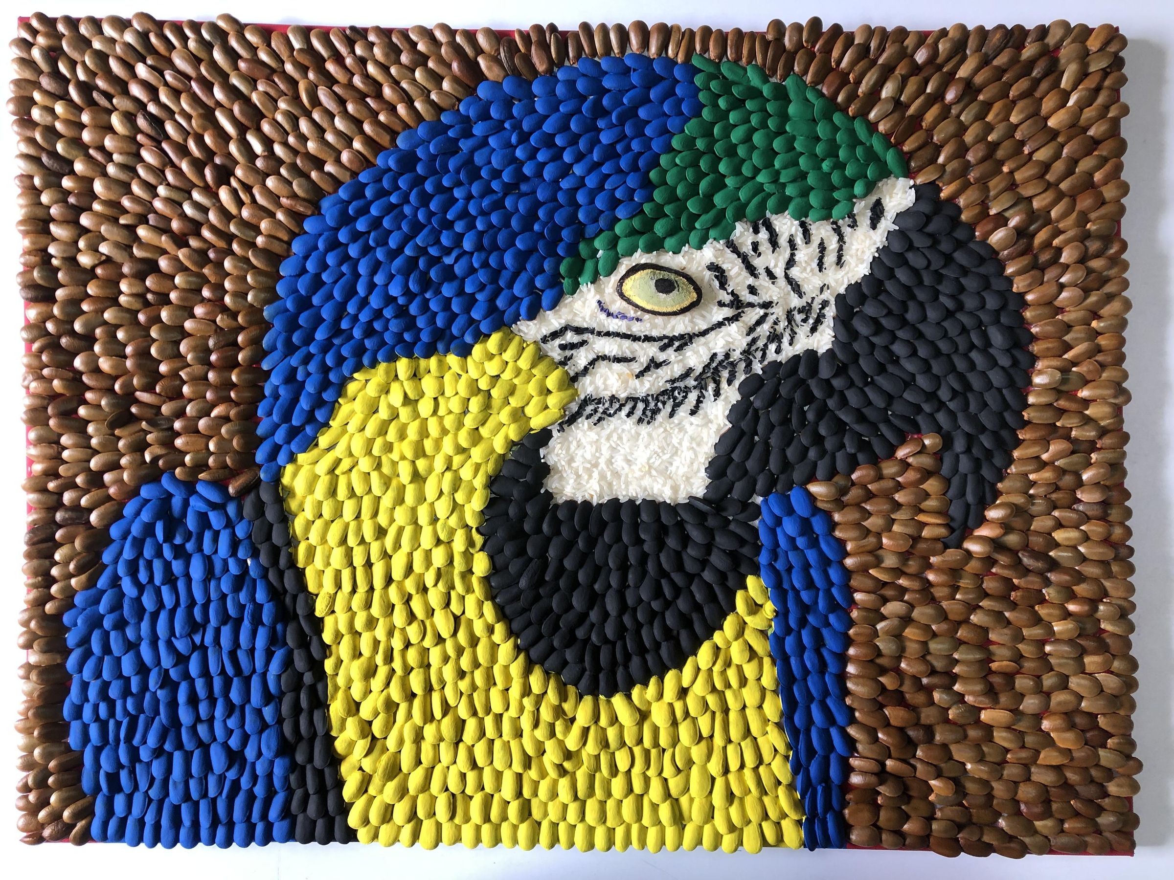 Macaw With Soursop Seeds, Rice and Mango. : 12 Steps (with Pictures ...