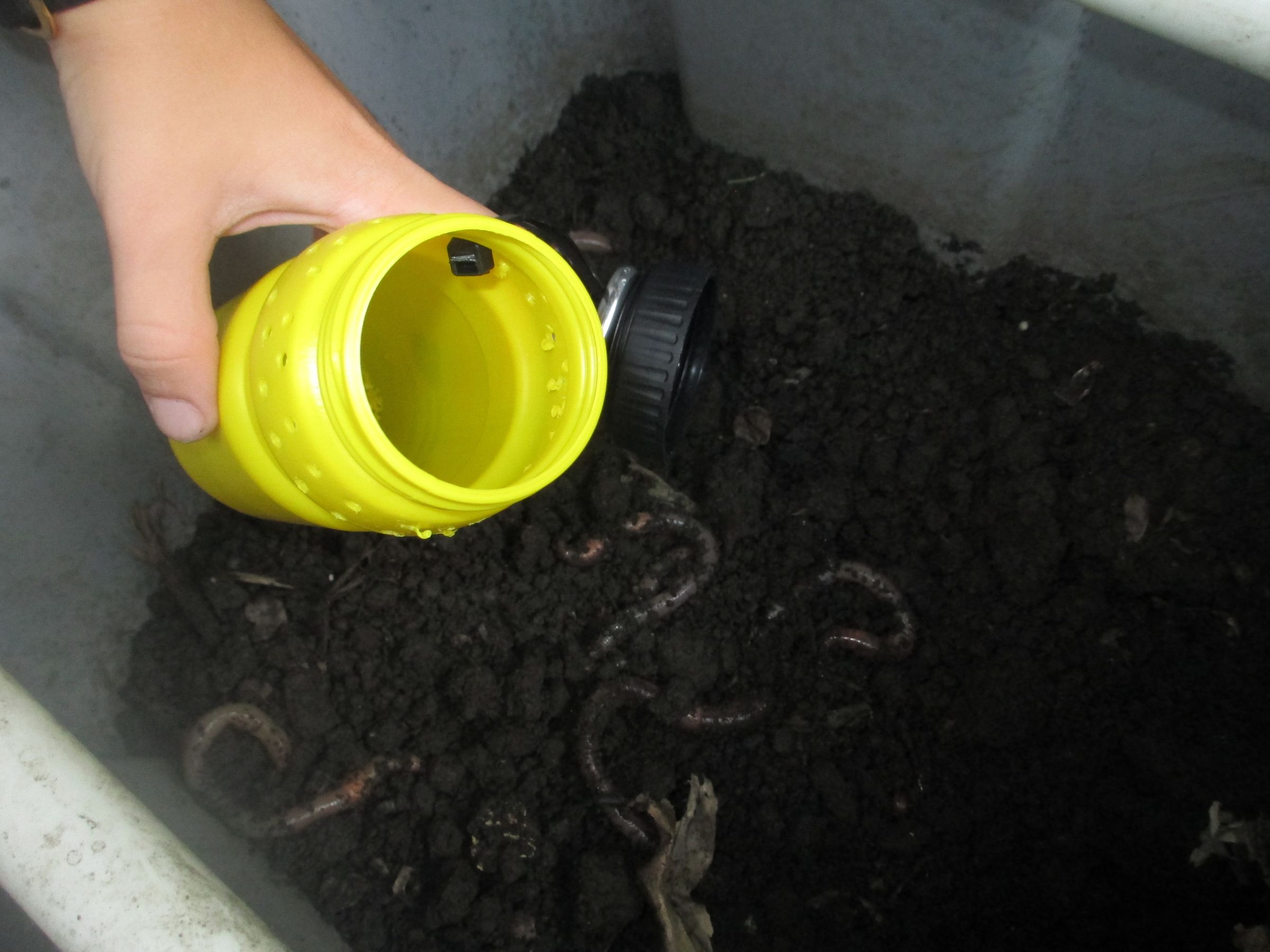 Make a Worm Bait Bottle for Fishing : 10 Steps (with Pictures ...