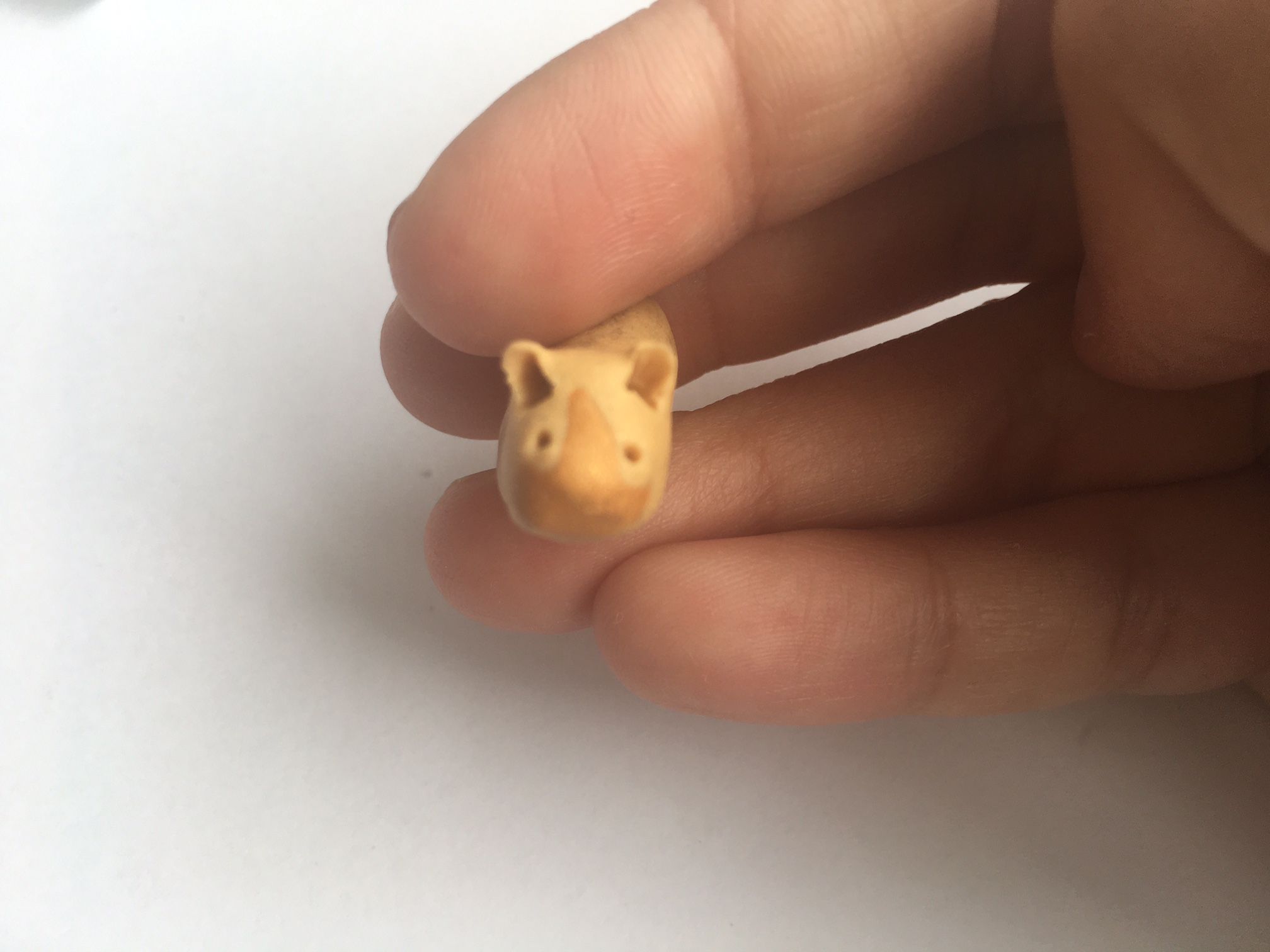 Hamster Race Game : 5 Steps (with Pictures) - Instructables