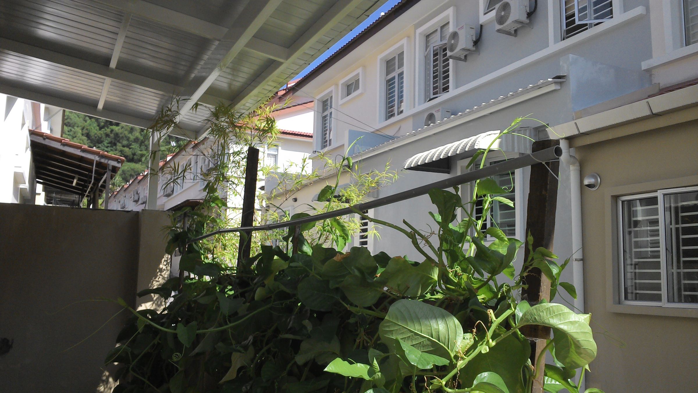 Zero Cost Watering System : 9 Steps (with Pictures) - Instructables