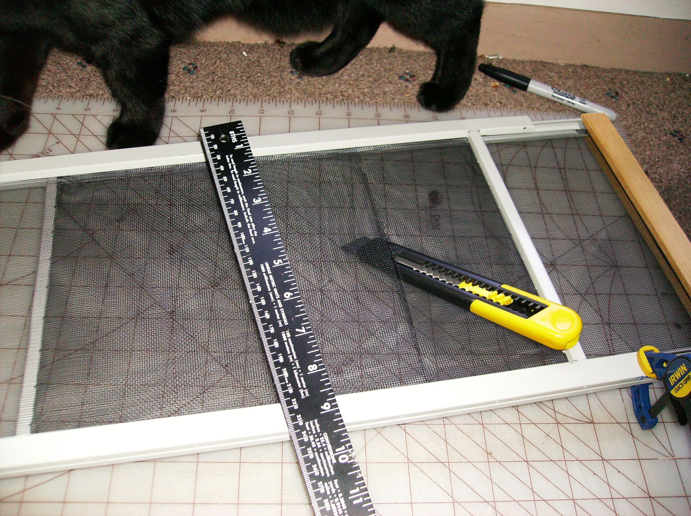 How to Make a Cat Entryway in a Removable Window Screen : 10 Steps ...
