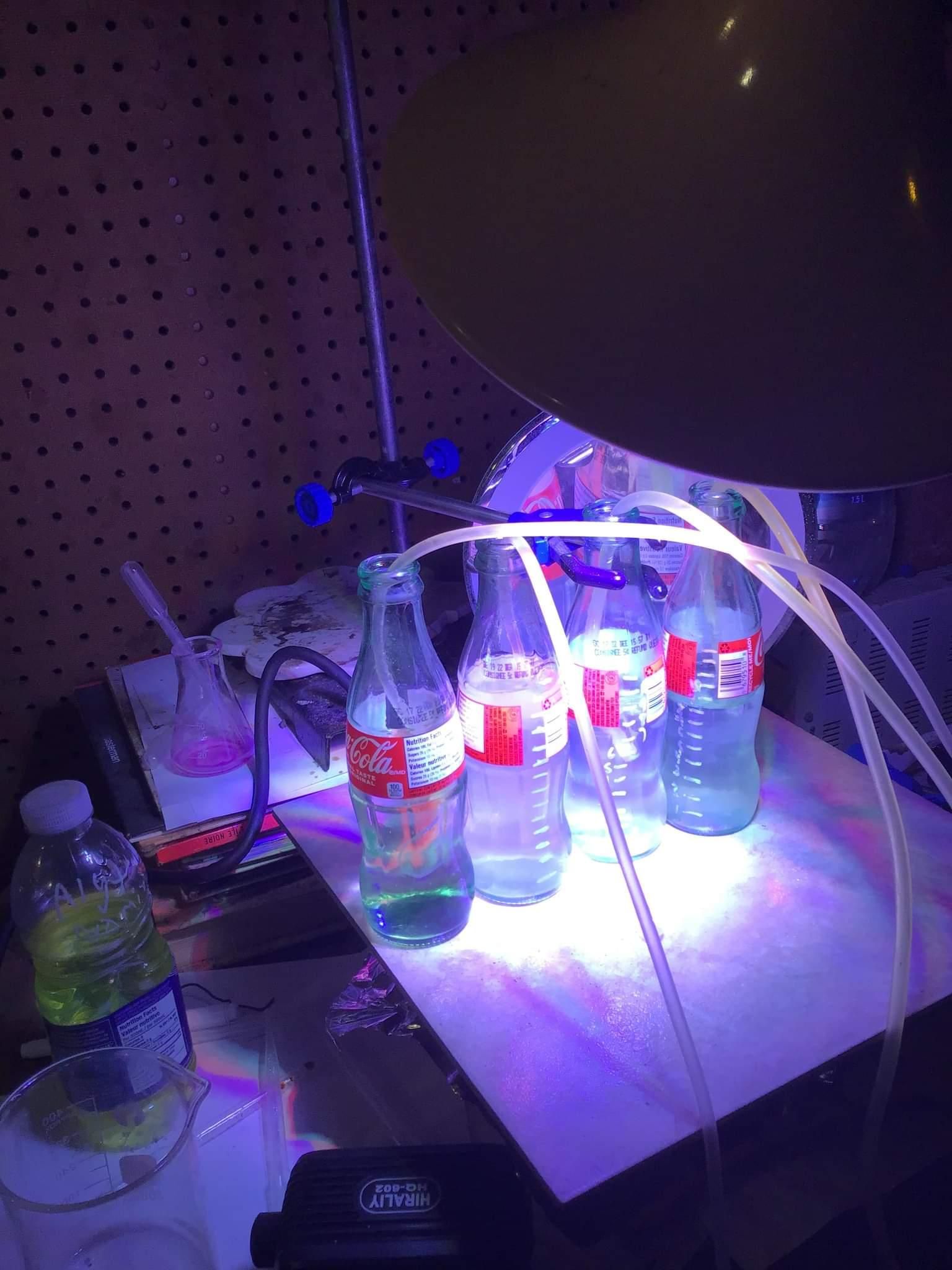 Growing Algae and Then Exposing Them to Gamma Rays. : 5 Steps ...