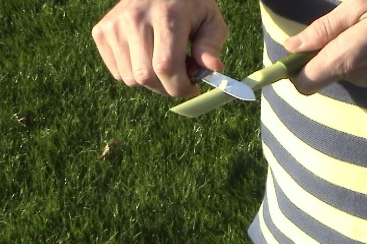 Willow Whistle : 7 Steps (with Pictures) - Instructables