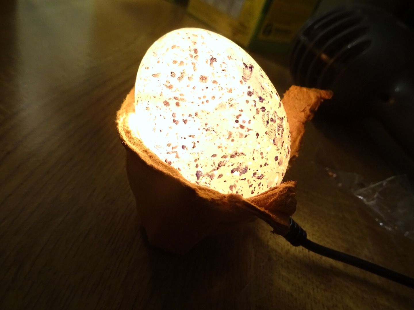 Egg Night Light : 9 Steps (with Pictures) - Instructables
