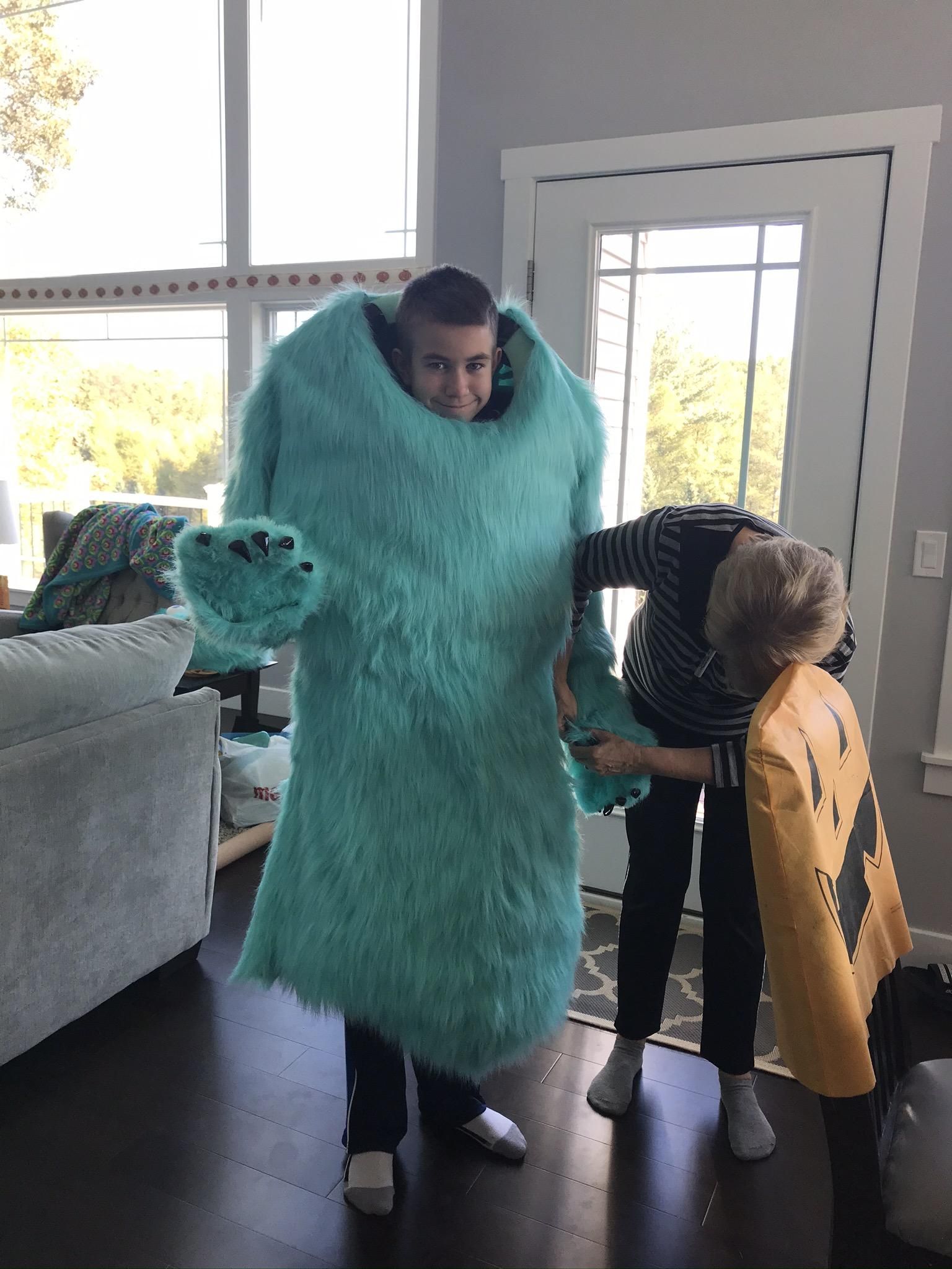 Sulley (Trademark Disney) Monster Homemade Halloween Costume : 11 Steps ...