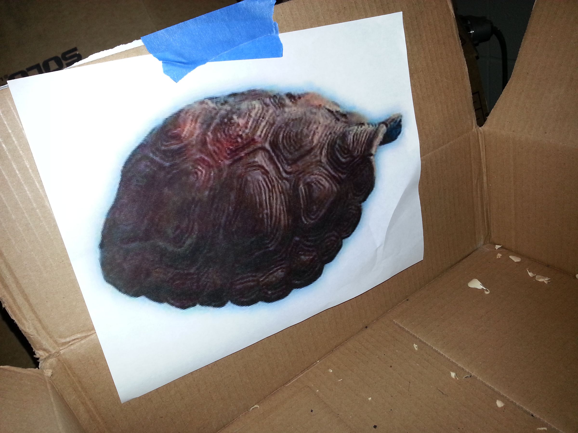 Tortoise Shell Costume for Youth Theater Production : 9 Steps (with ...