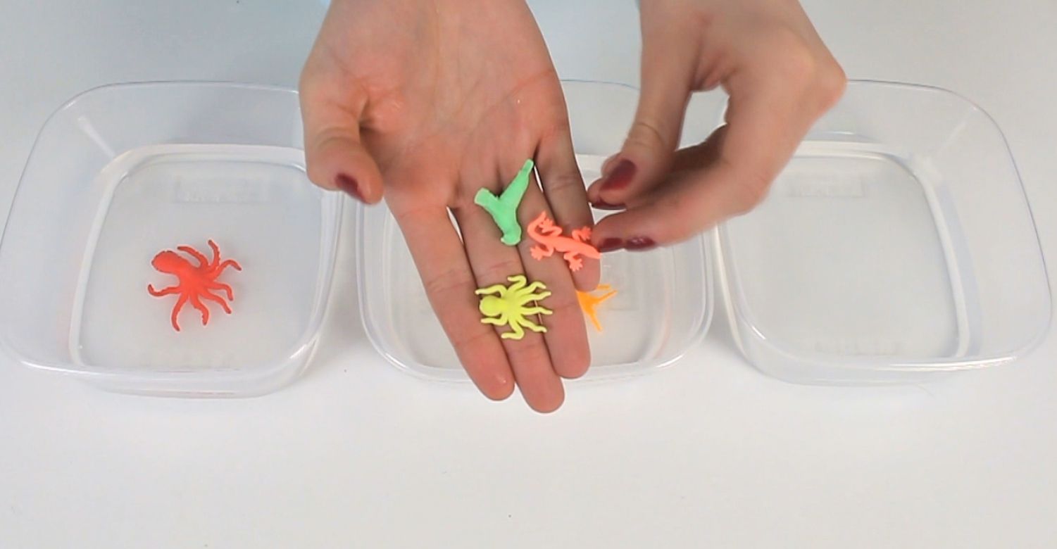 Amazing Diy Experiment | Growing Creatures : 5 Steps - Instructables