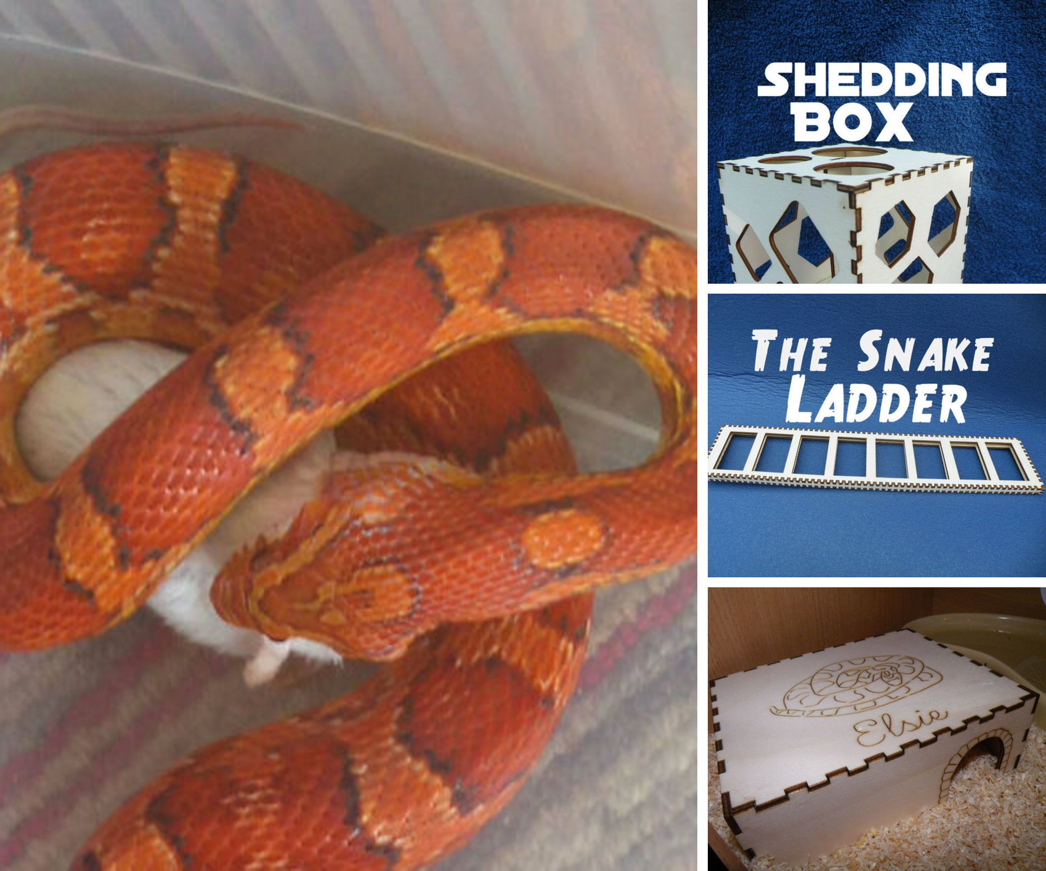 Snake Projects - Instructables