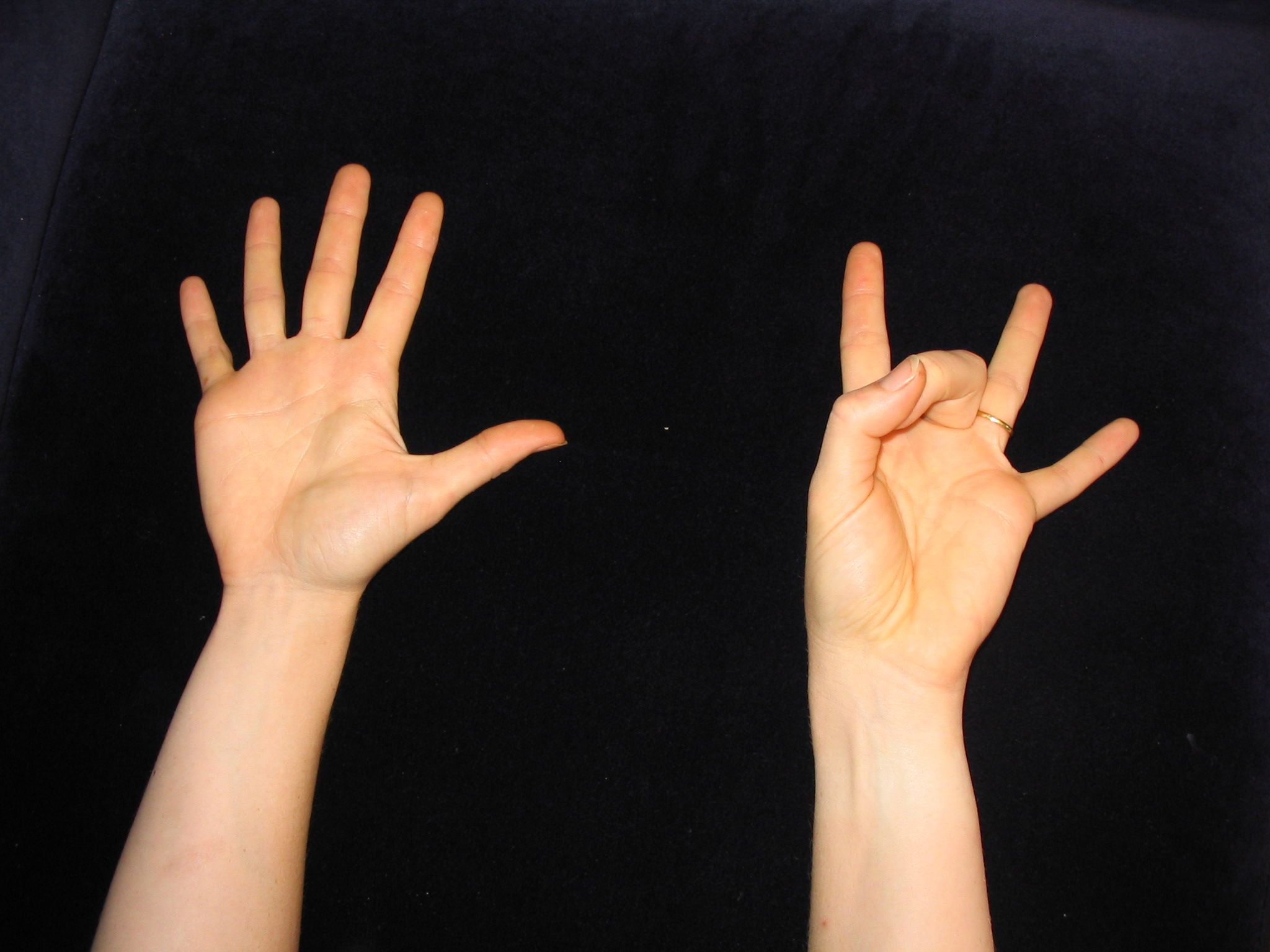 Mouse Toe Numbering Scheme : 5 Steps - Instructables