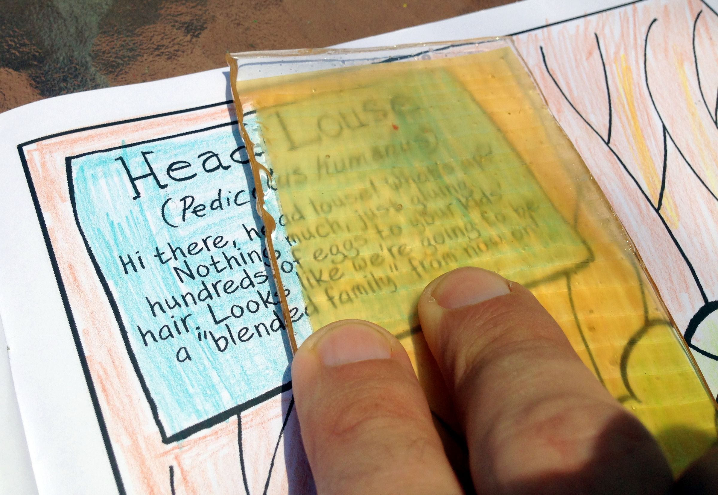 Transparent Wood : 10 Steps (with Pictures) - Instructables