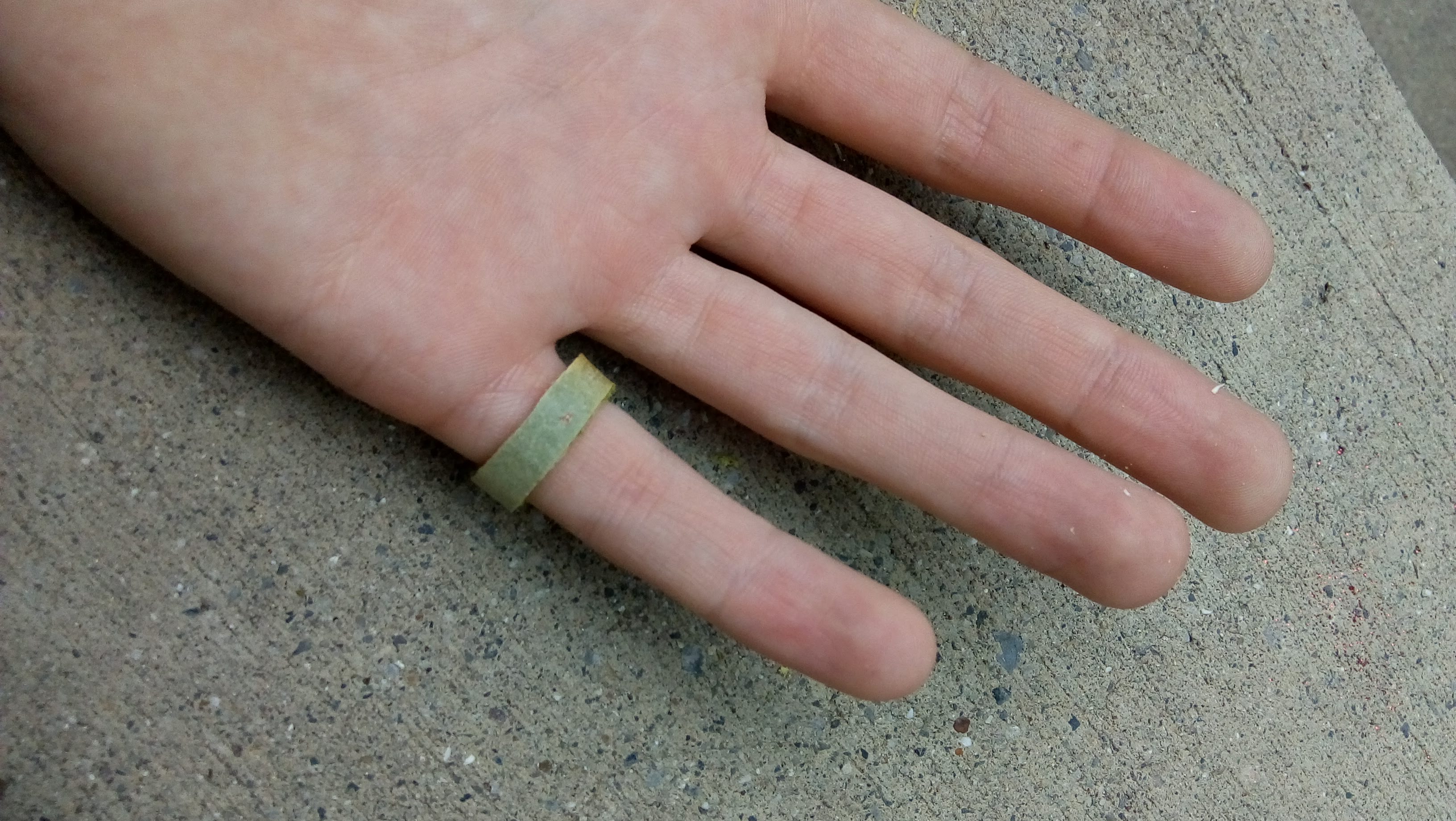 Tree Bark Rings : 5 Steps (with Pictures) - Instructables