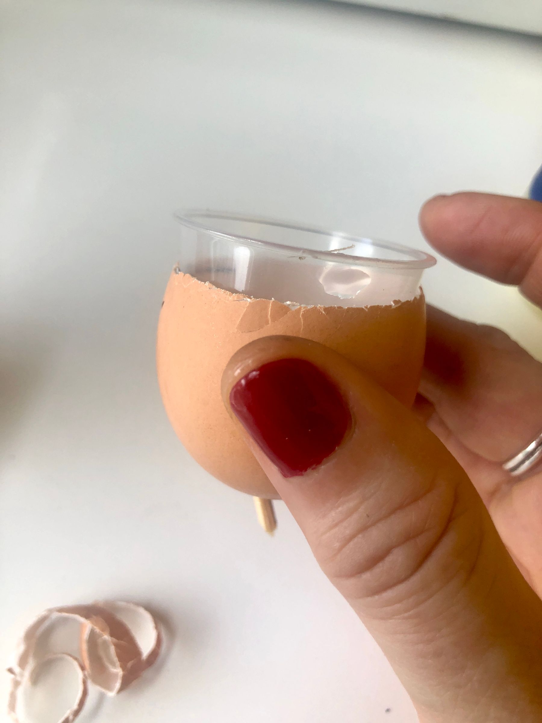 Make a Micro Eggshell Planter Out of Cement for Tiny Succulent Plants ...