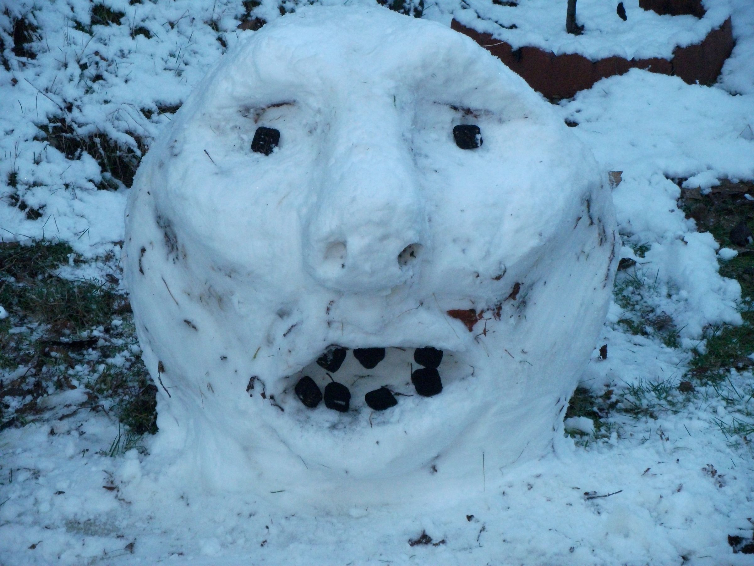 Snowbilly - Instructables