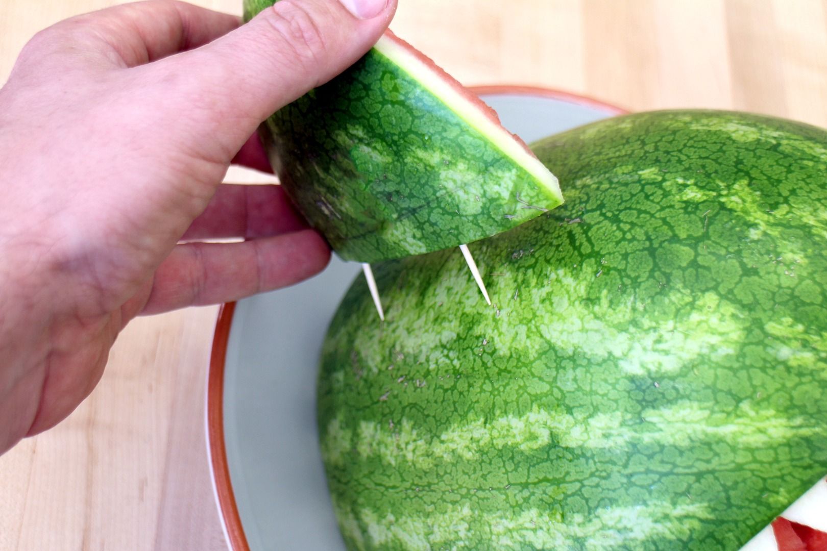 Watermelon Shark : 13 Steps (with Pictures) - Instructables