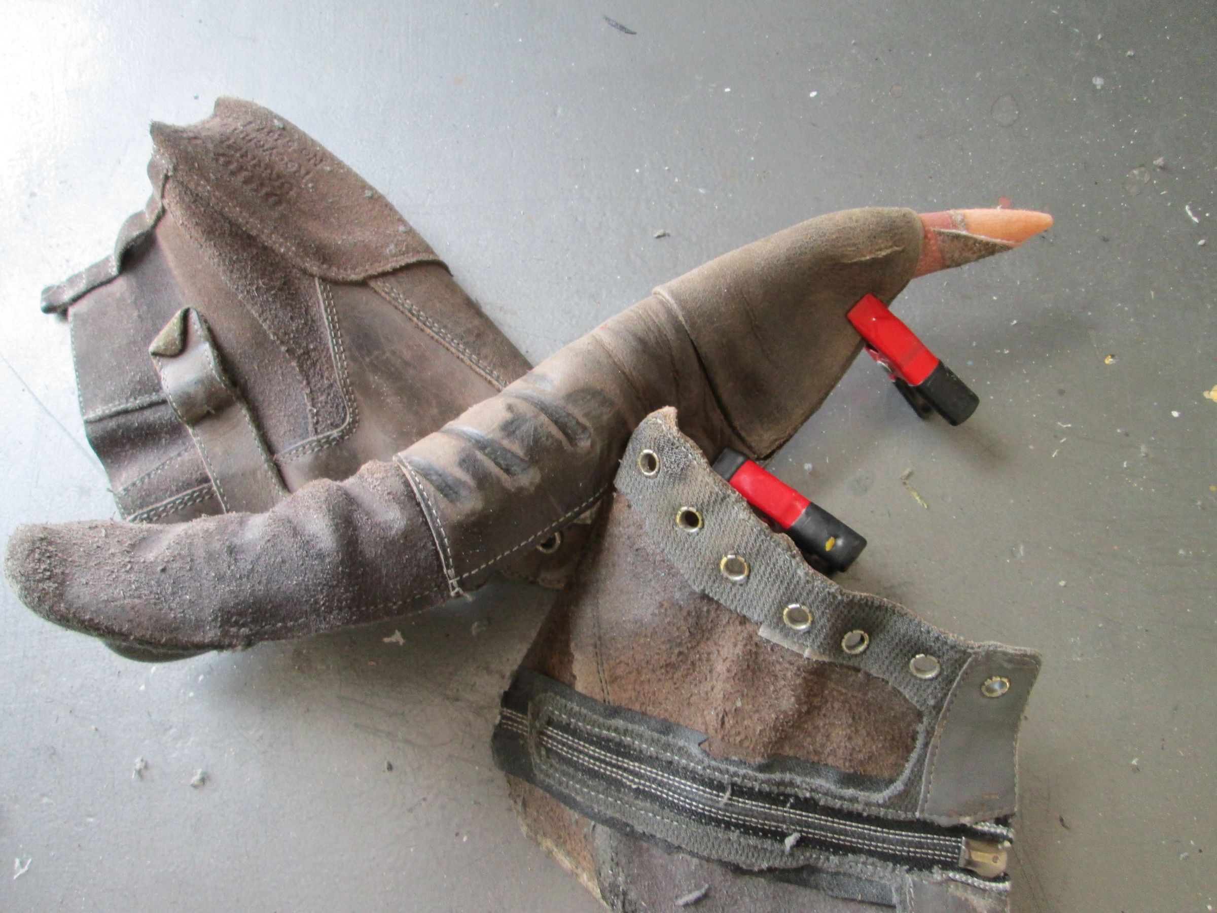Schubert the Shoe Bird : 8 Steps - Instructables