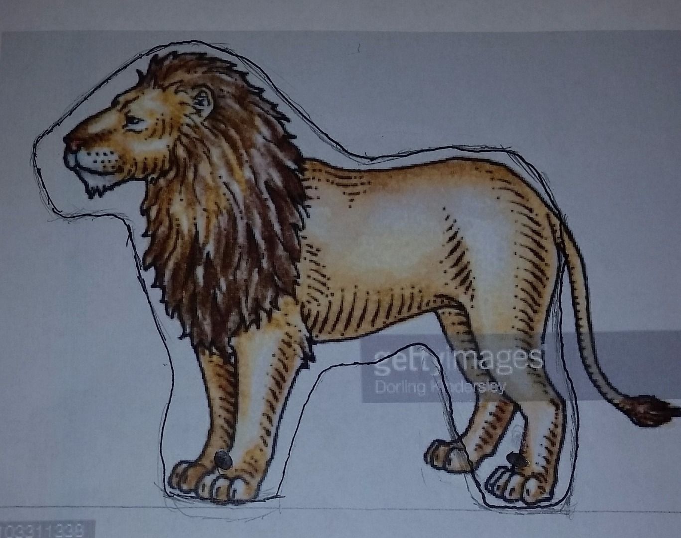 How to Make a Toy Lion by Alonzo : 5 Steps - Instructables