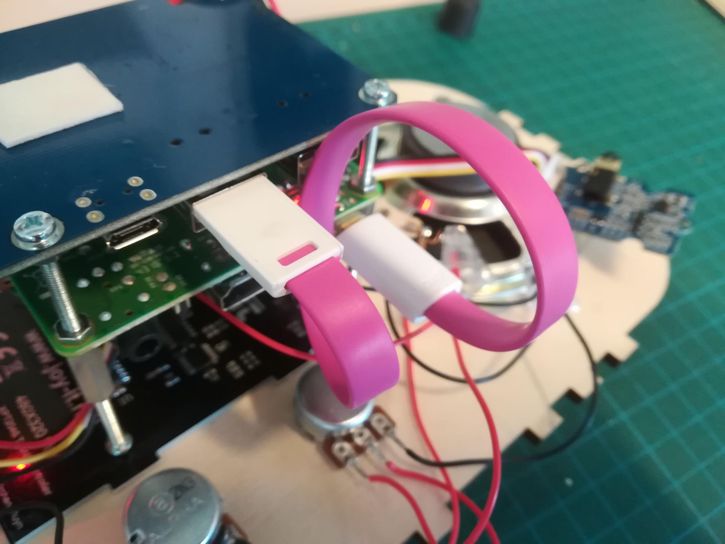 Plant-radio : 9 Steps (with Pictures) - Instructables