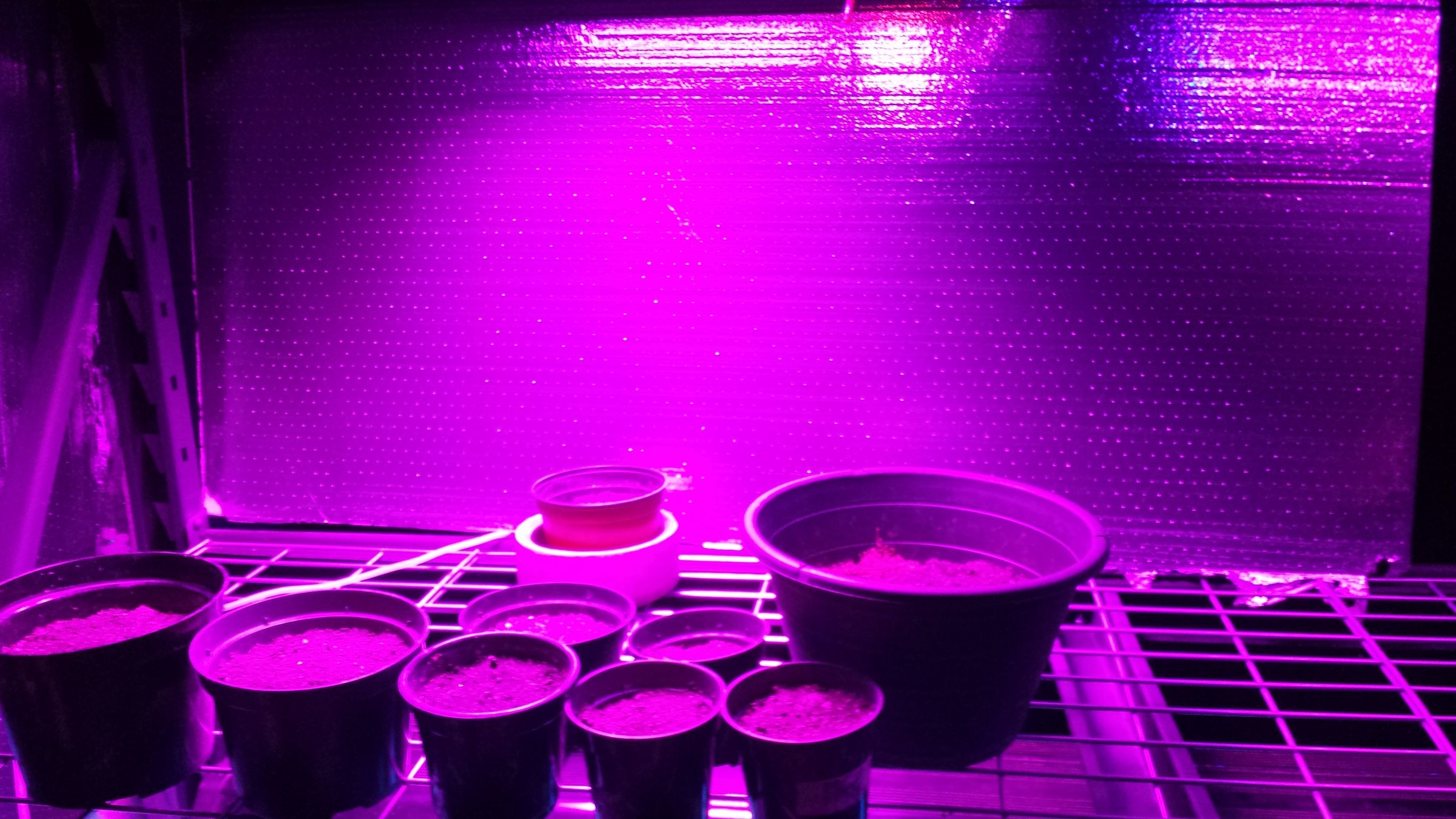 Super Quick & Easy LED Growlight - Instructables