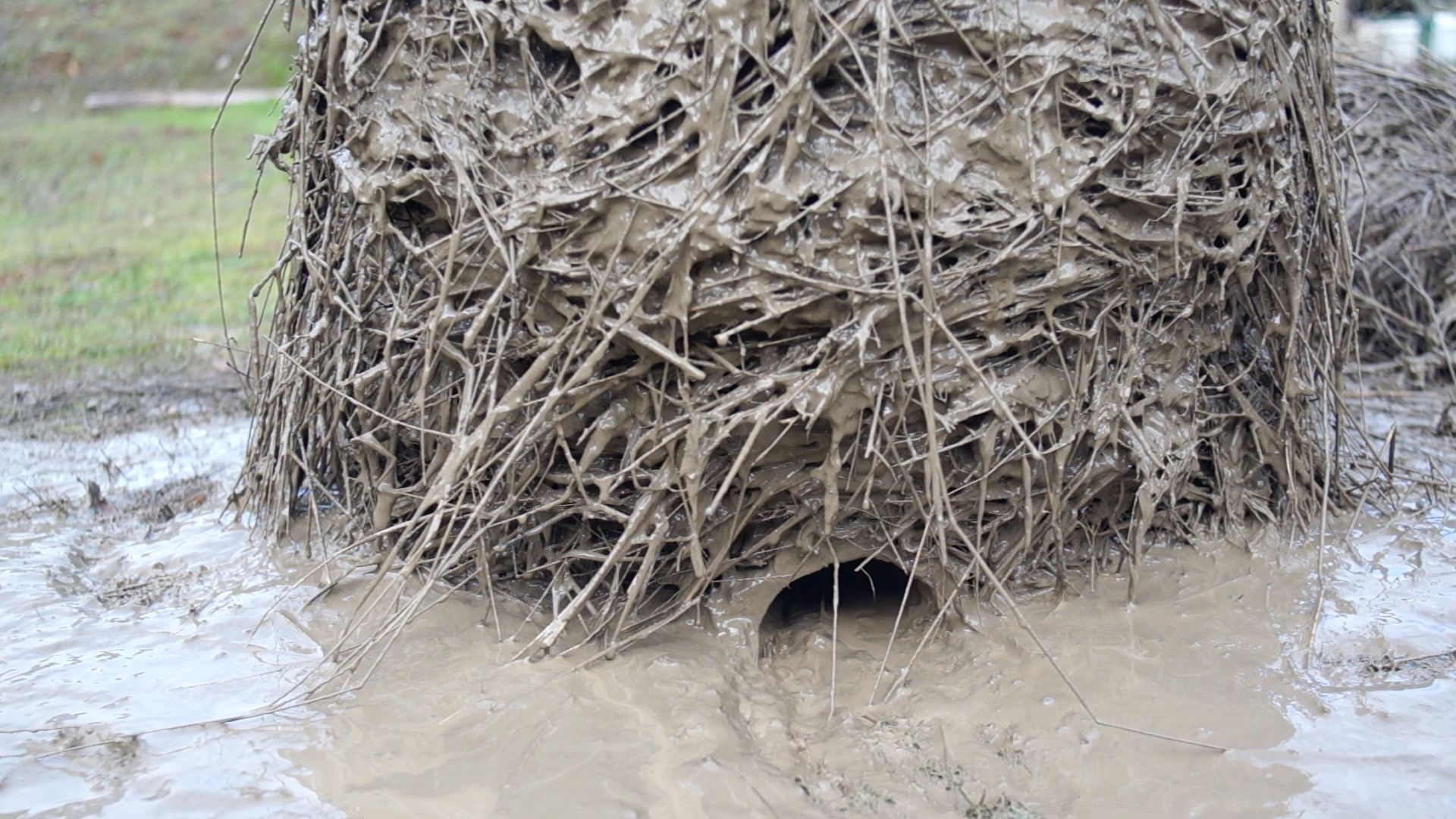 Burn Seashell Lime in a Primitive Straw/Clay Kiln! : 10 Steps (with ...