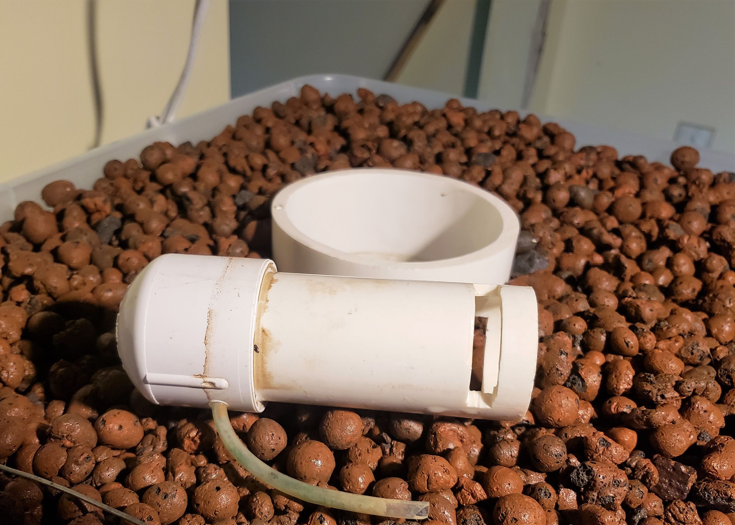 DIY Basement Aquaponics : 14 Steps (with Pictures) - Instructables