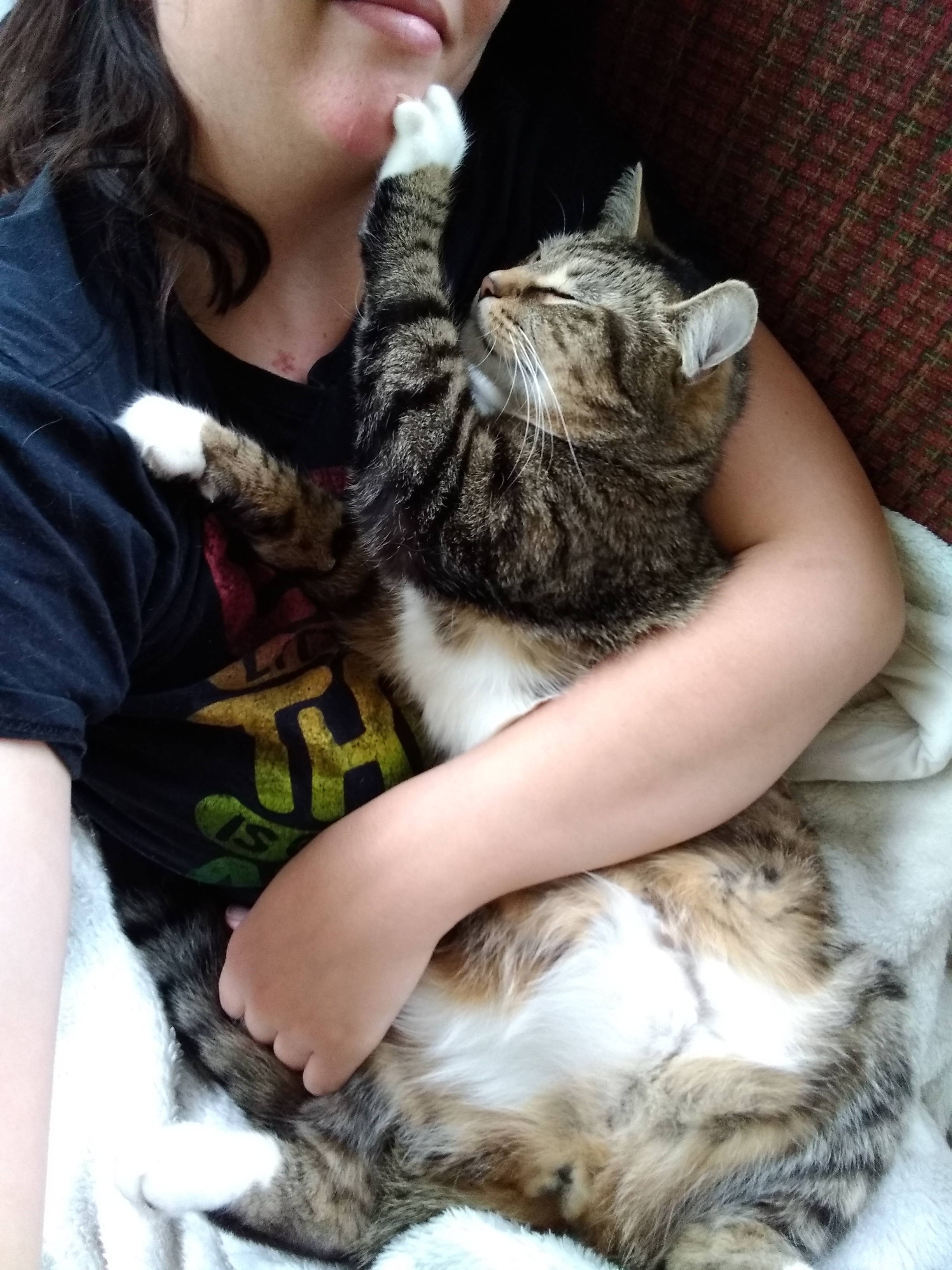 How To: Lull Your Cat to Sleep : 14 Steps (with Pictures) - Instructables