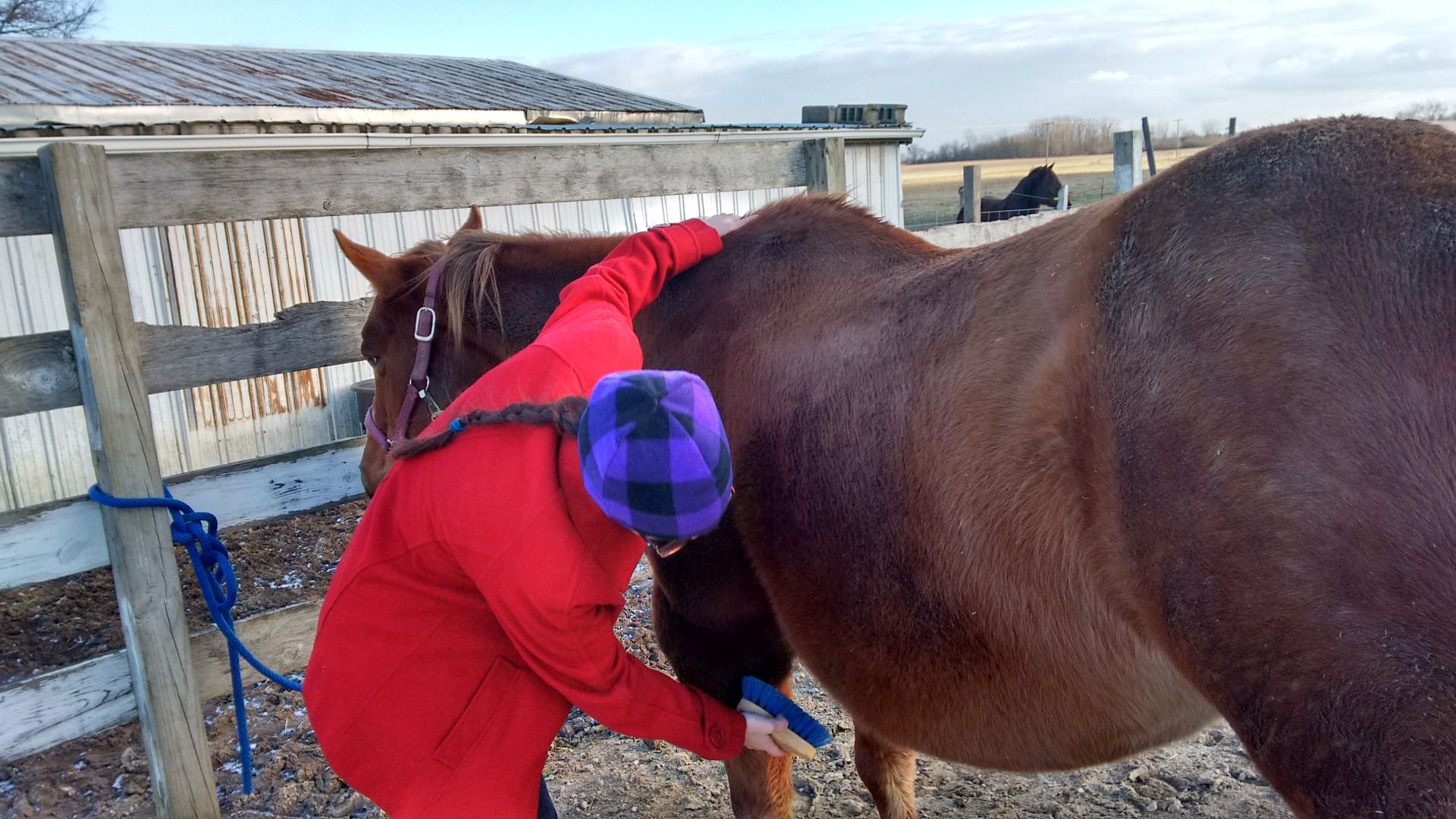 Tacking a Horse : 6 Steps (with Pictures) - Instructables