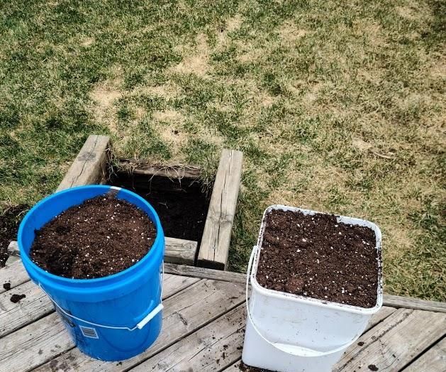 Bucket Planters : 3 Steps - Instructables