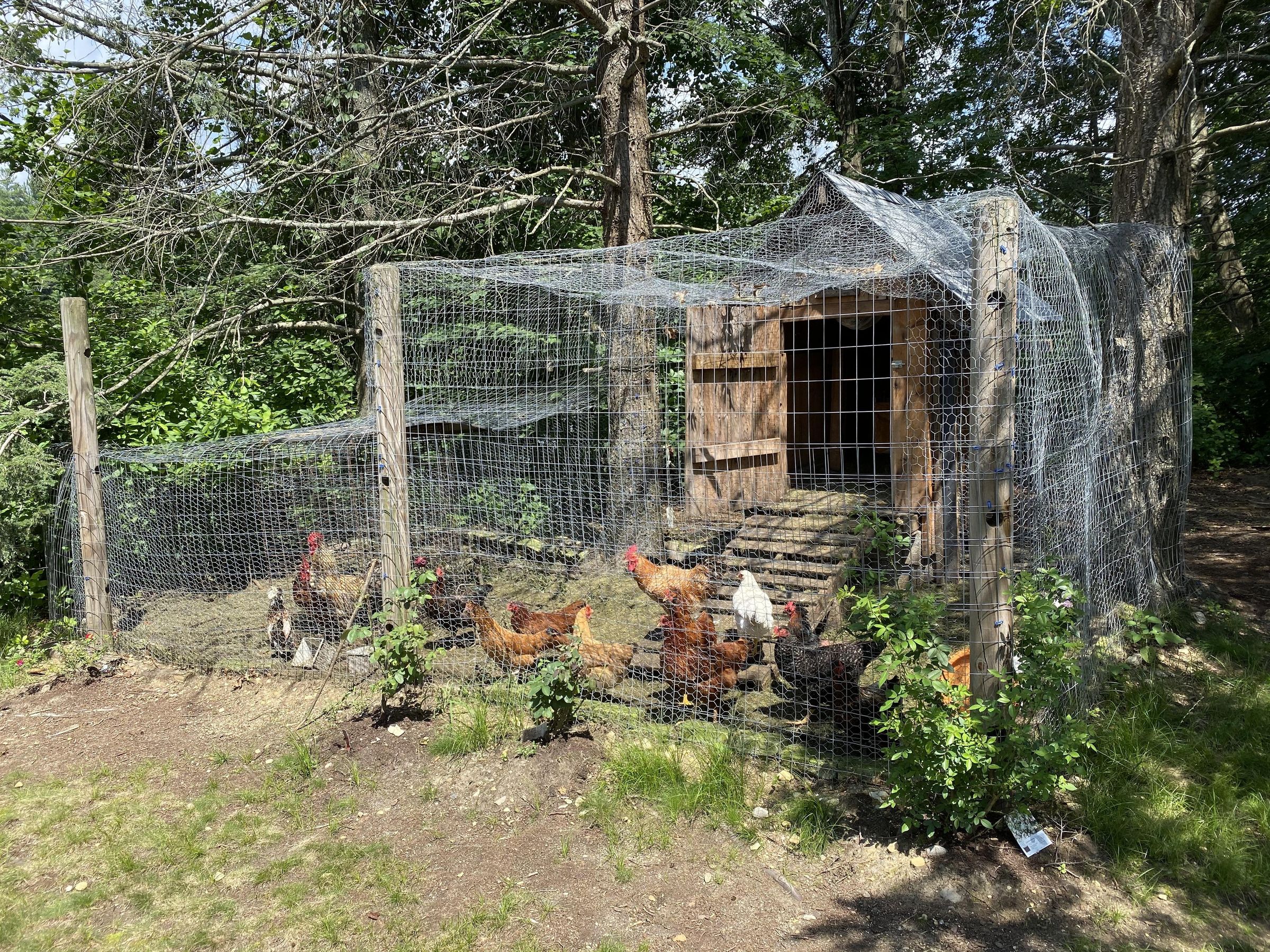 Awesome Chicken Coop From (Almost) 100% Reused/Repurposed Materials ...