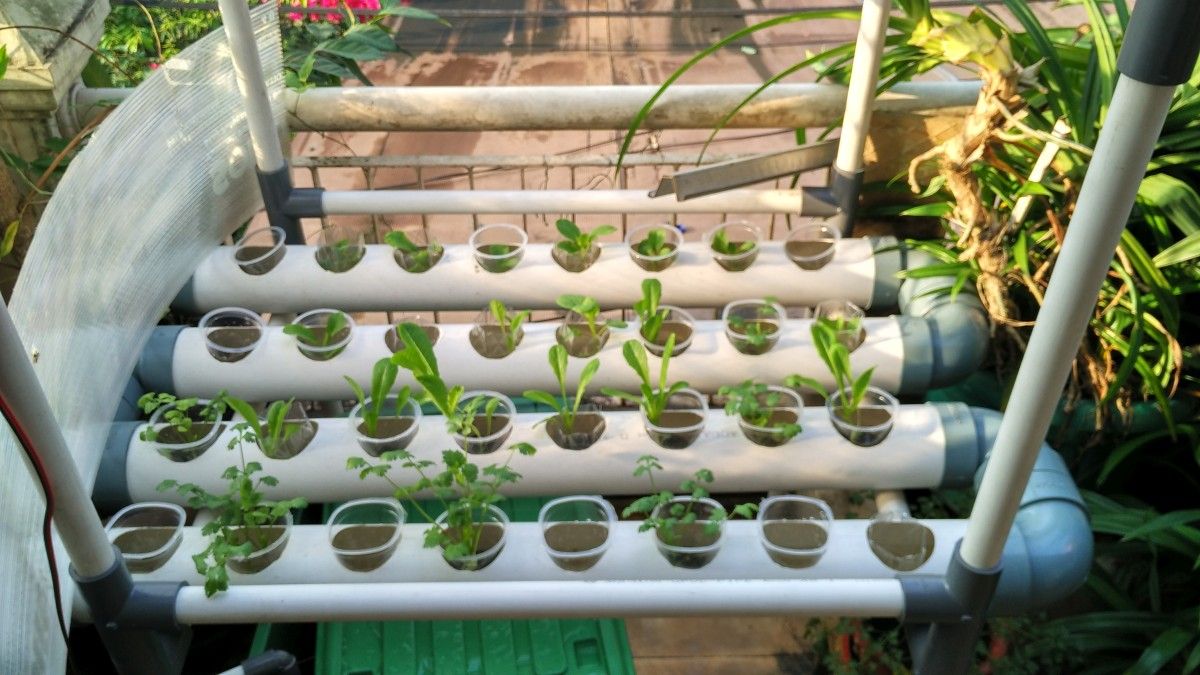 Solar-powered Hydroponic Water Circulation : 3 Steps (with Pictures ...