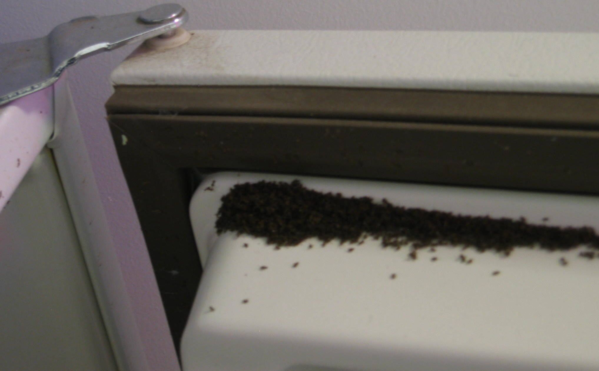 50 Handy Tricks : 50 Steps (with Pictures) - Instructables