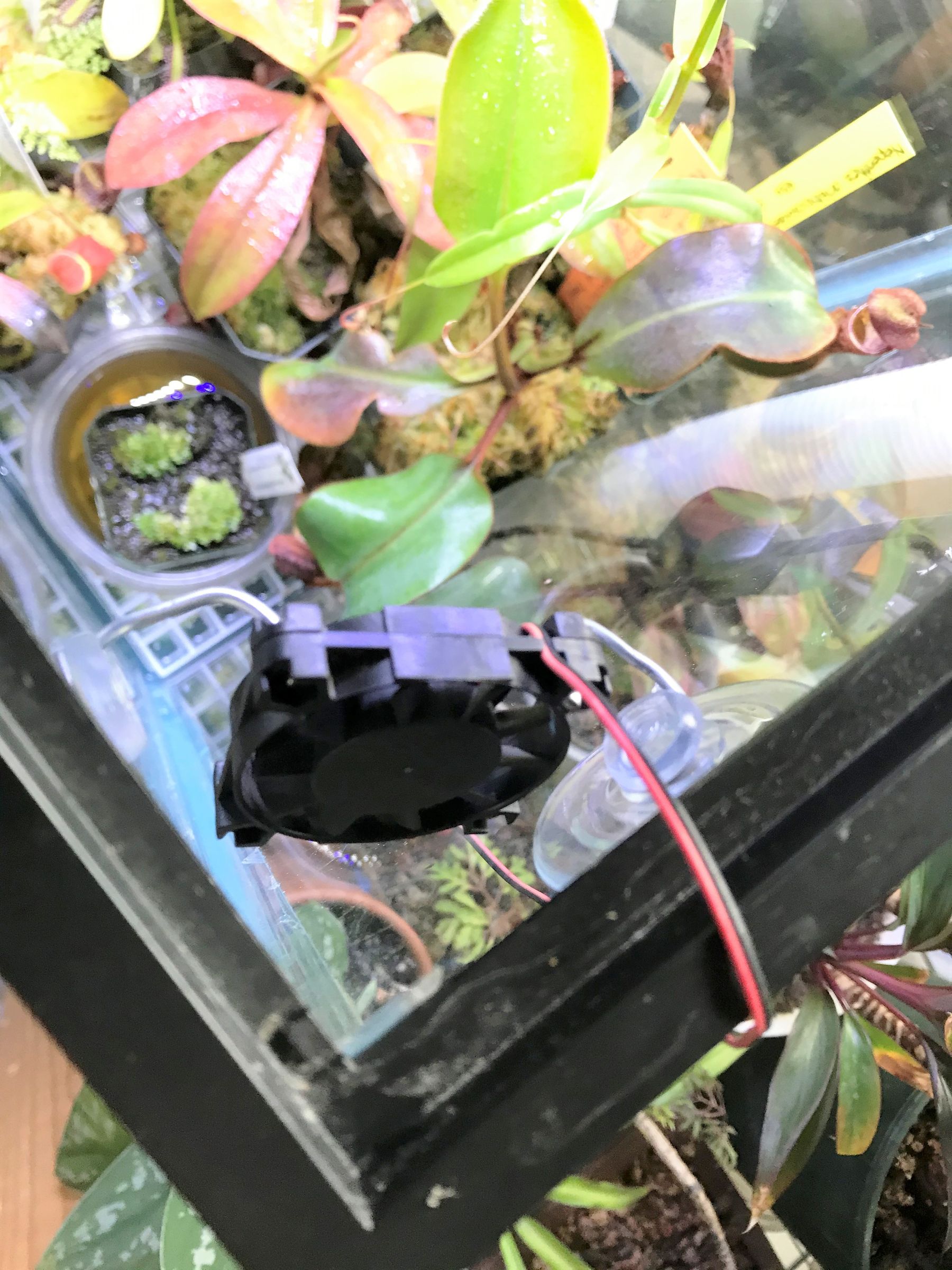 Humidity and Temperature Control System for Terrarium : 11 Steps (with ...