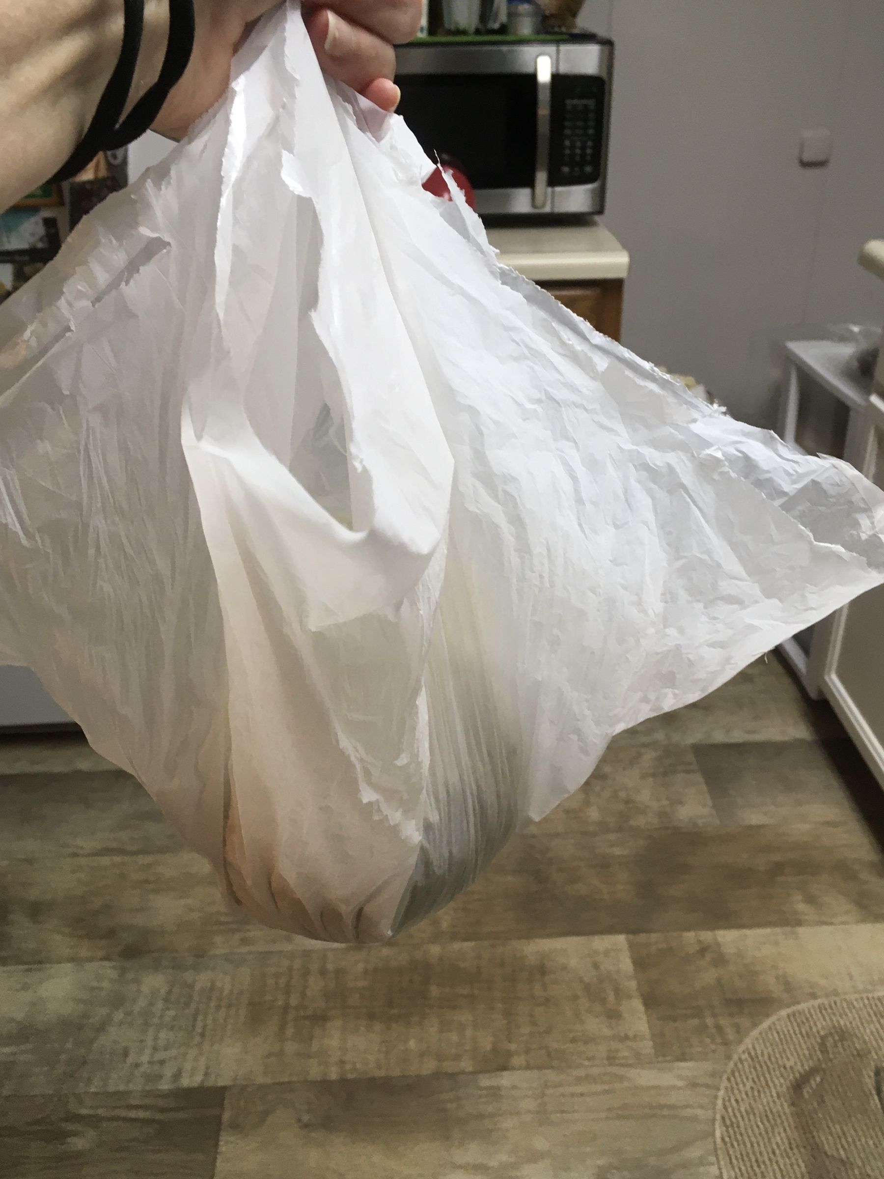 Barnacle Sculptures--and an Experiment With 2 Kinds of Homemade Paper ...