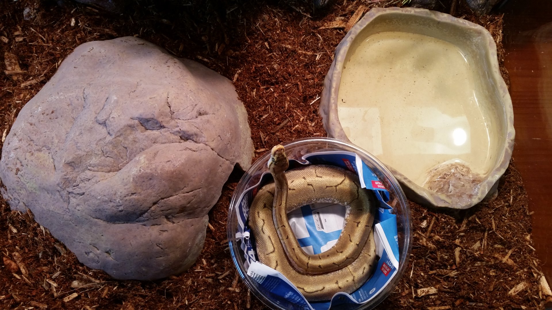 Ball Python Habitat Repurposing Materials : 14 Steps (with Pictures ...