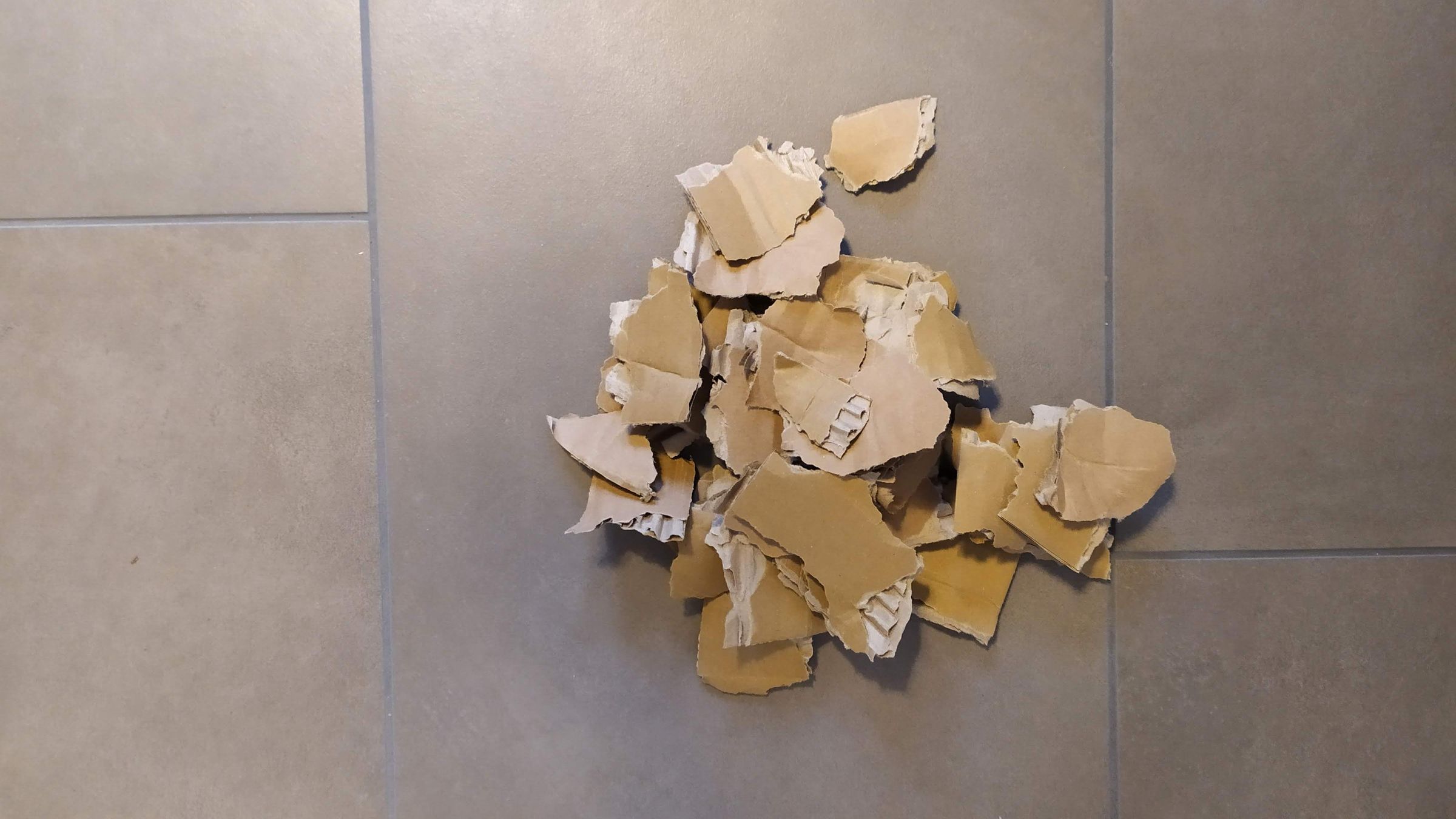 Sustainable + Recycled CARDBOARD Bowls (and Plant Pots!) : 5 Steps ...
