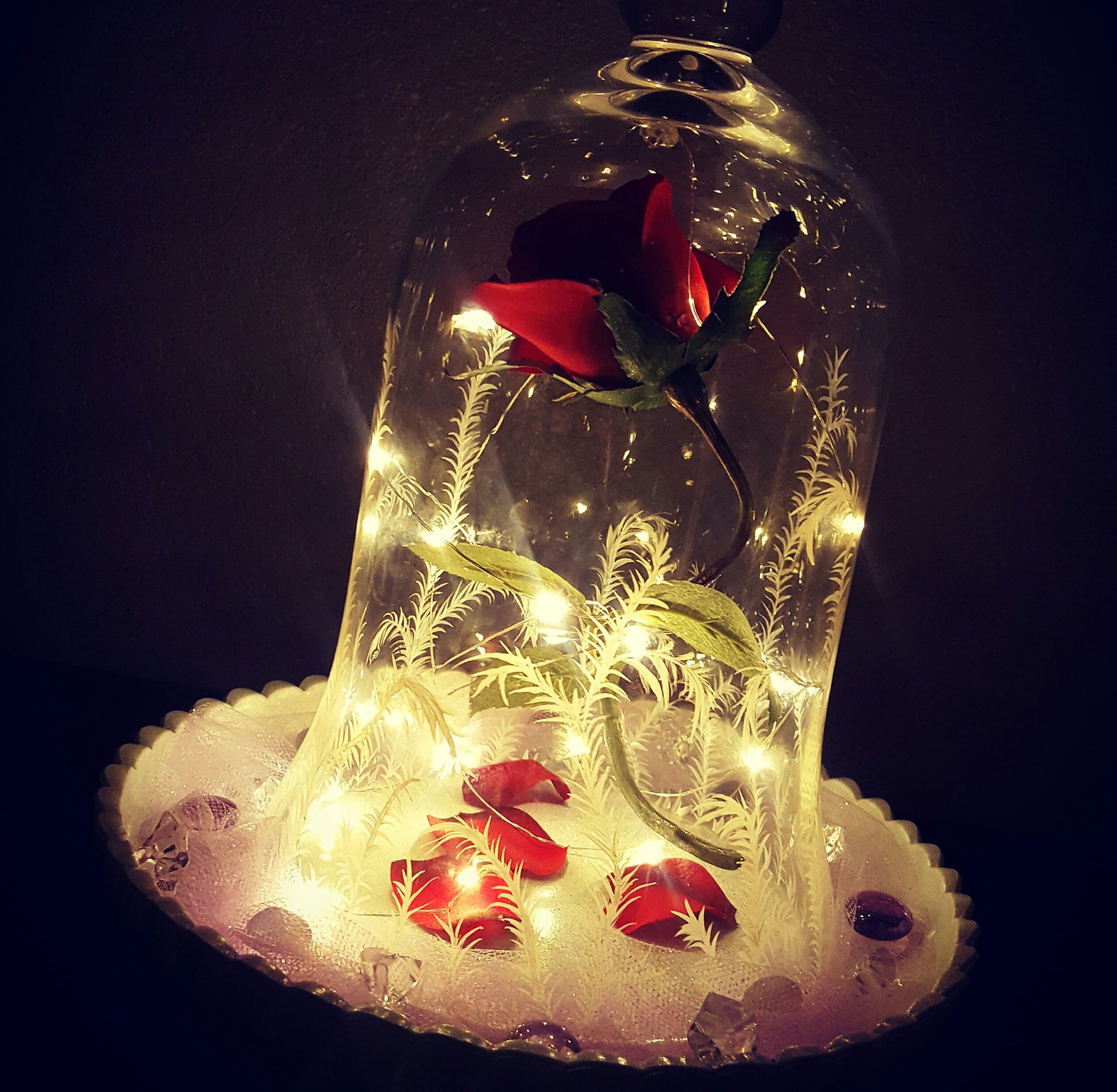 DIY Enchanted Rose : 10 Steps (with Pictures) - Instructables