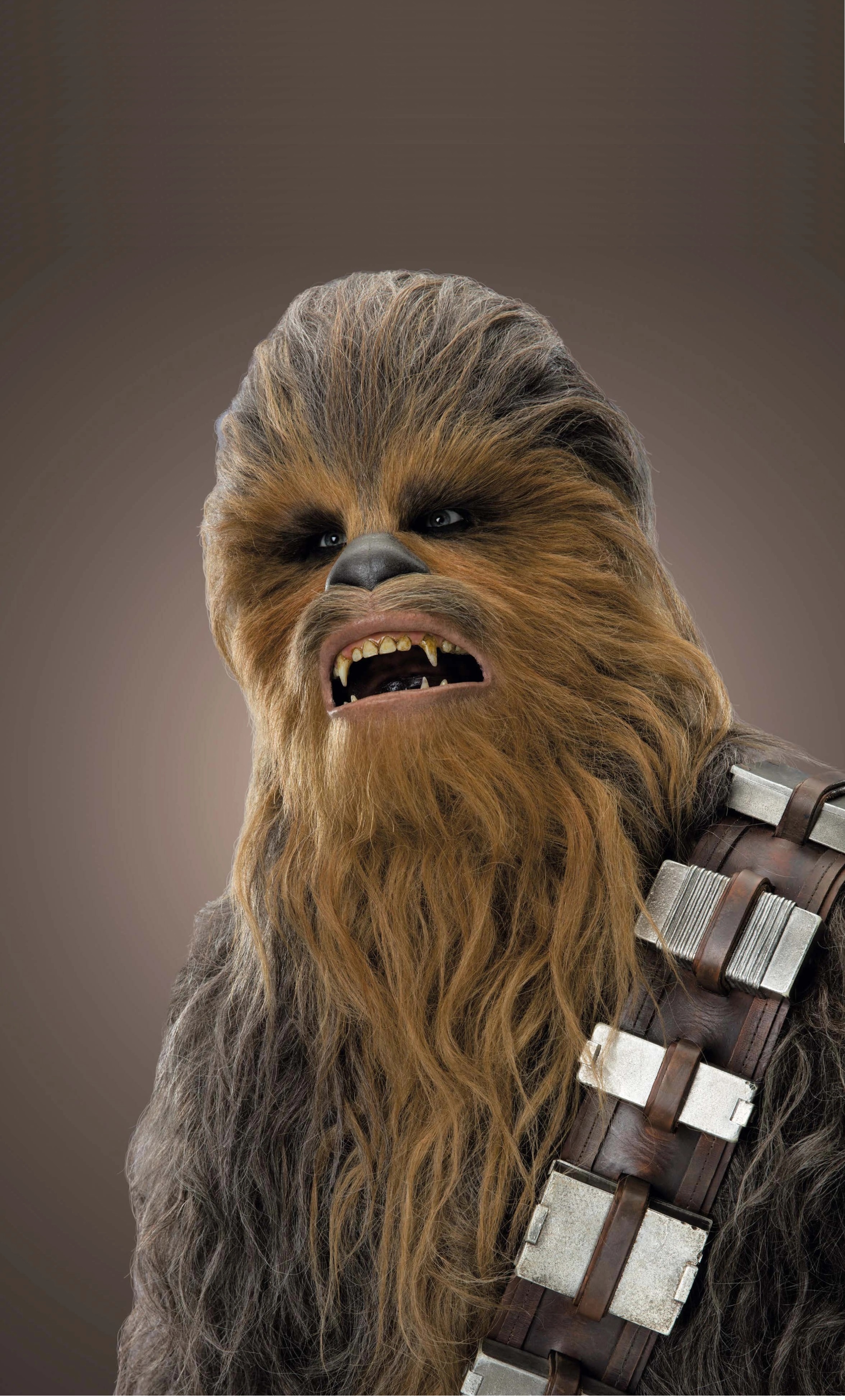 Needlefelting a Pocket Yeti / Ickabog : 7 Steps (with Pictures ...