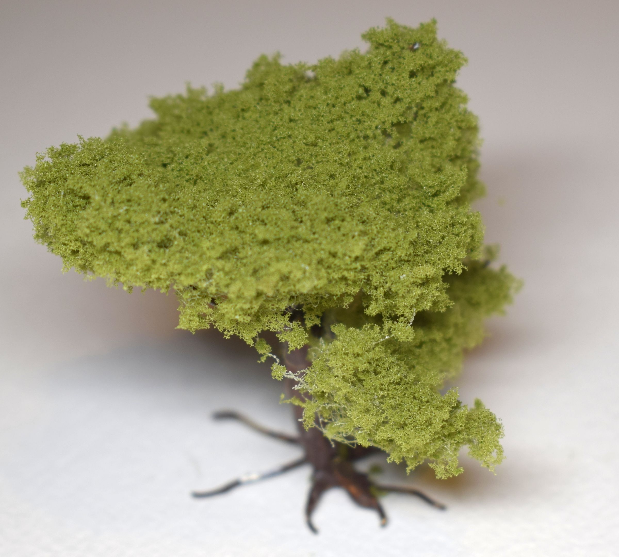 Modelling Trees : 9 Steps (with Pictures) - Instructables