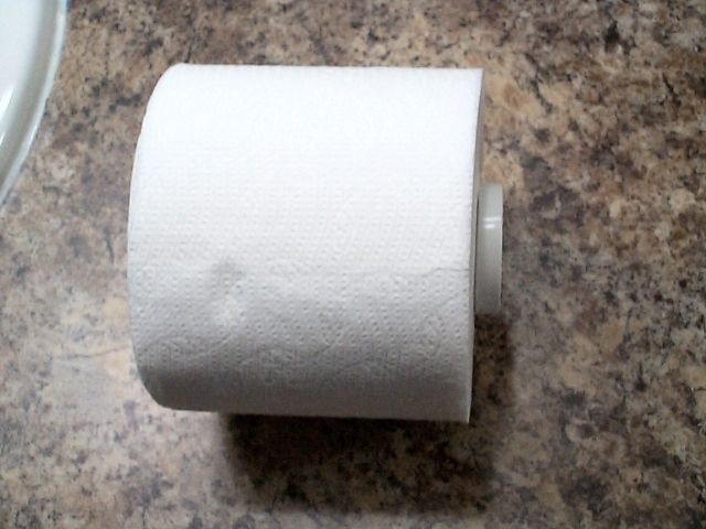 Toilet Paper Core Protector and EZ-Roller : 8 Steps - Instructables